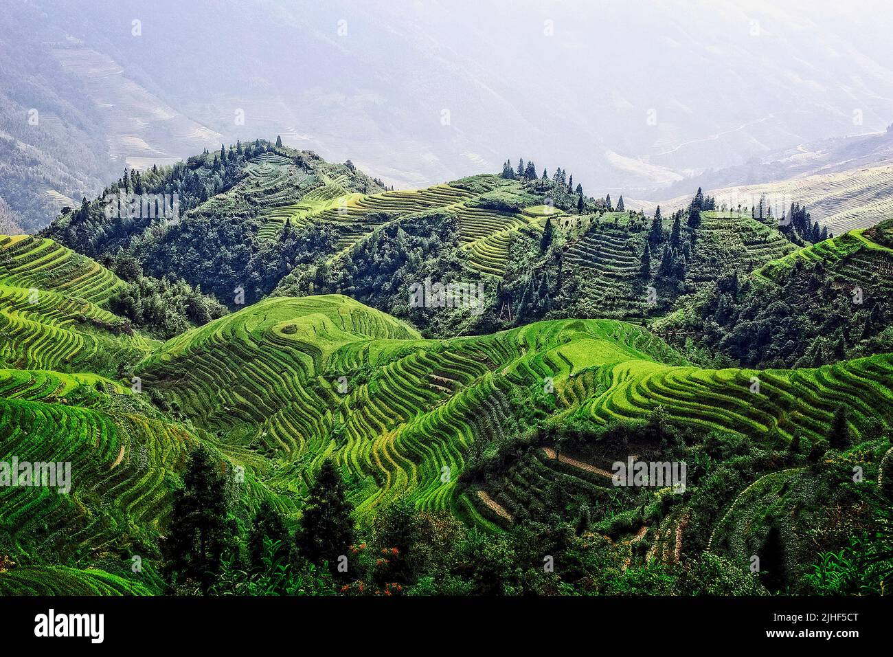 View over the terrace rice fields of Ping'an in Longsheng, China Stock ...
