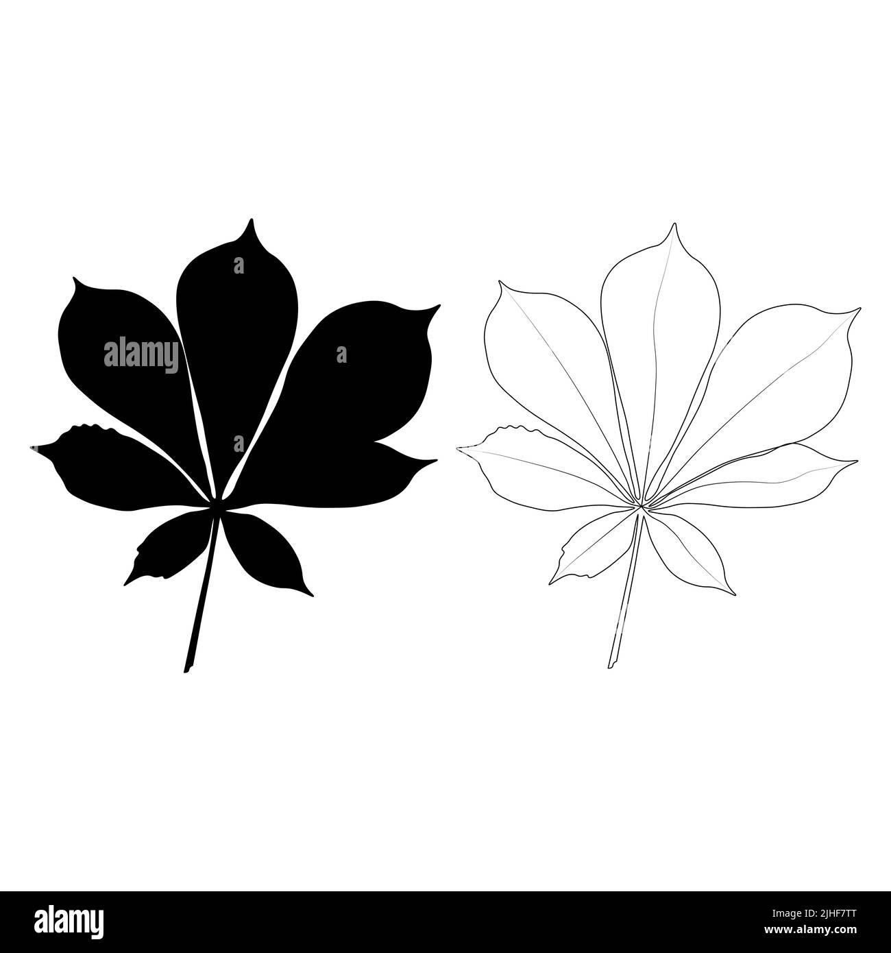 Set of vector chestnut leaf outline and silhouette black icon. Simple ...