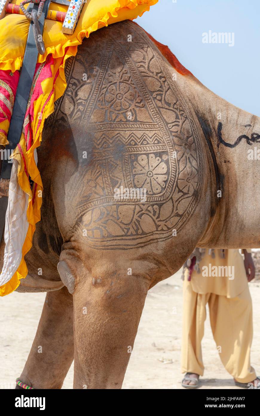carving on the camel skin, skin carving, camel skindesign , culture of ...