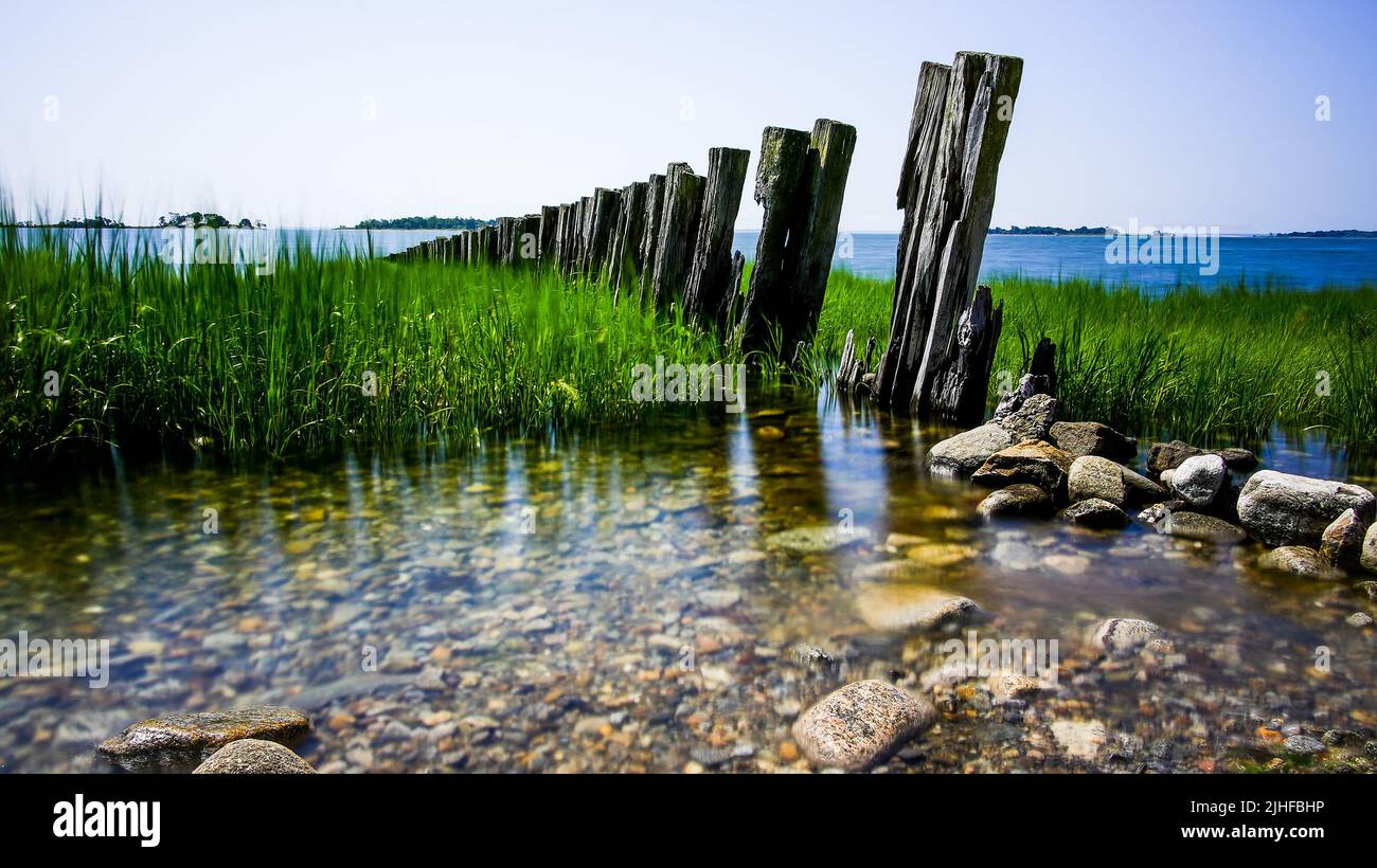 Weathered wood near water side with green grass in summer time ...