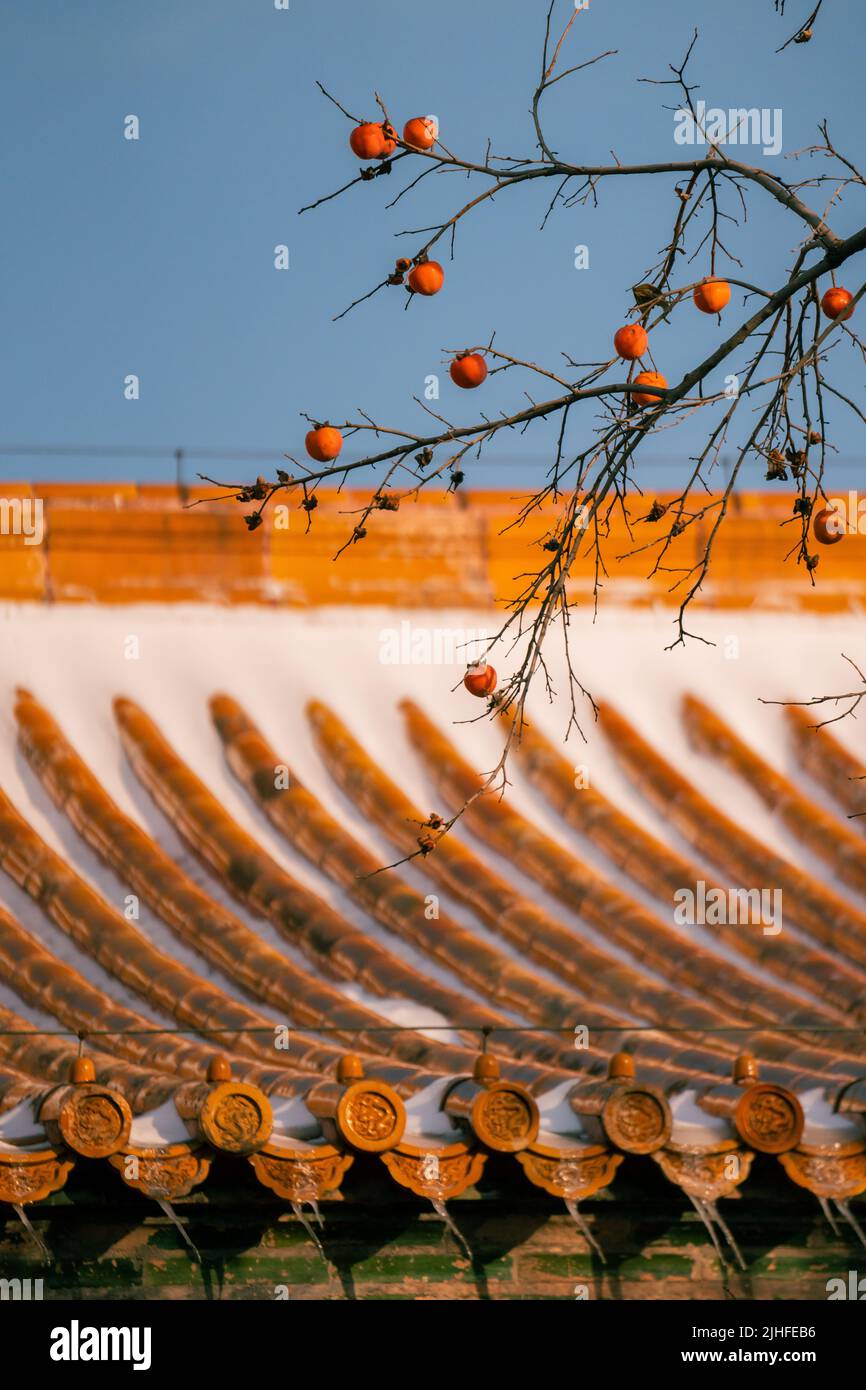 beautiful architecture in the city of china Stock Photo - Alamy
