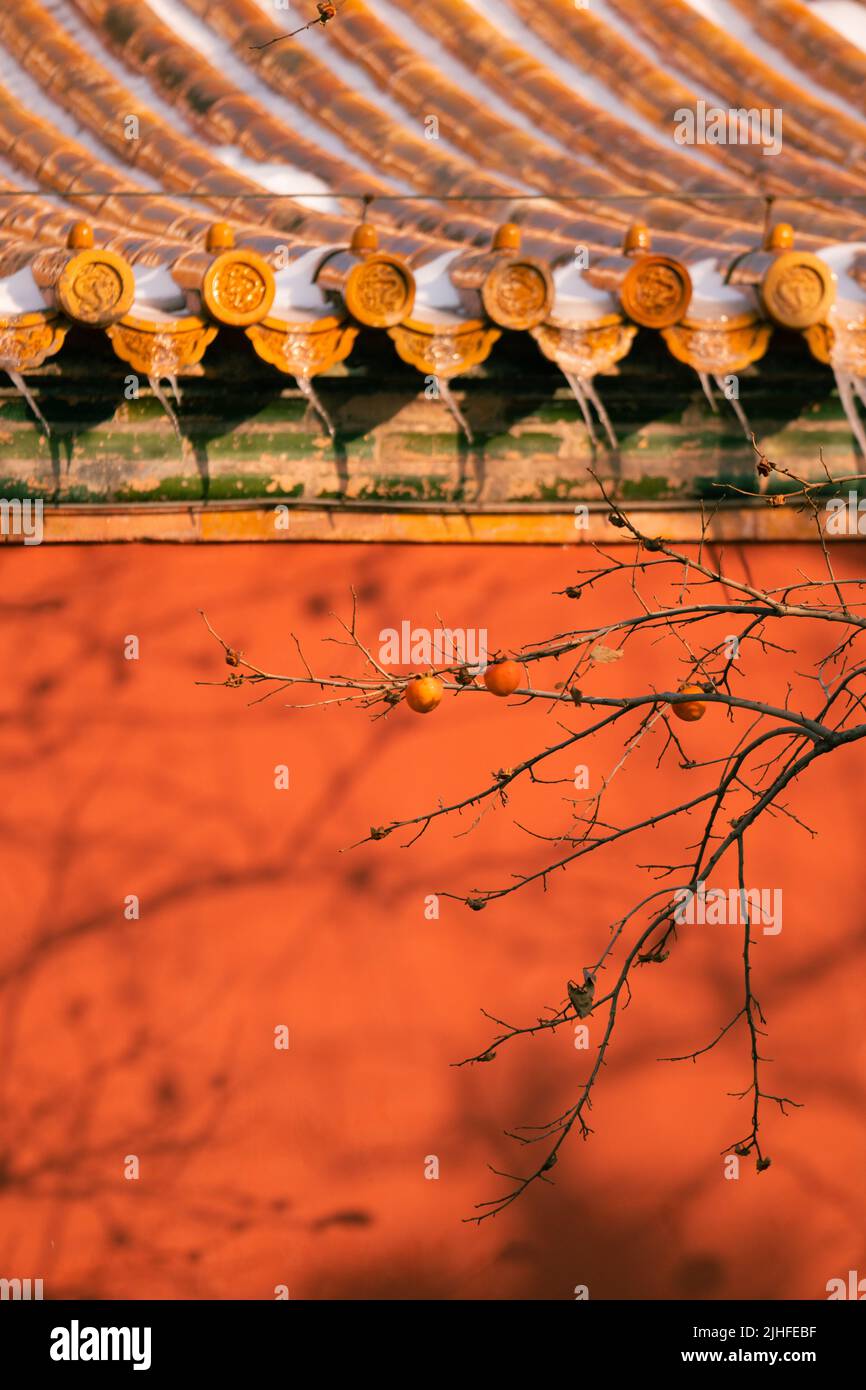 beautiful architecture in the city of china Stock Photo - Alamy