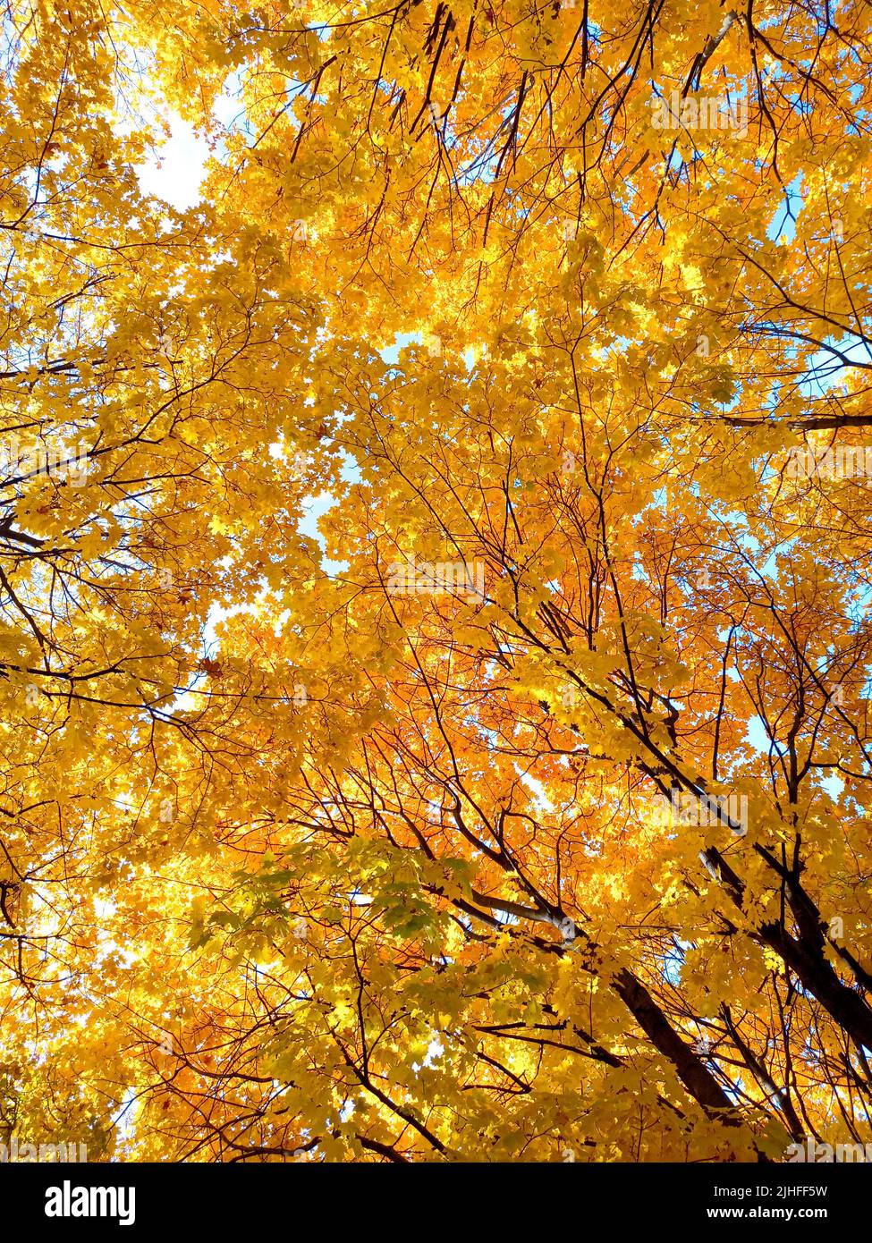 Bright and colorful autumn hi-res stock photography and images - Alamy