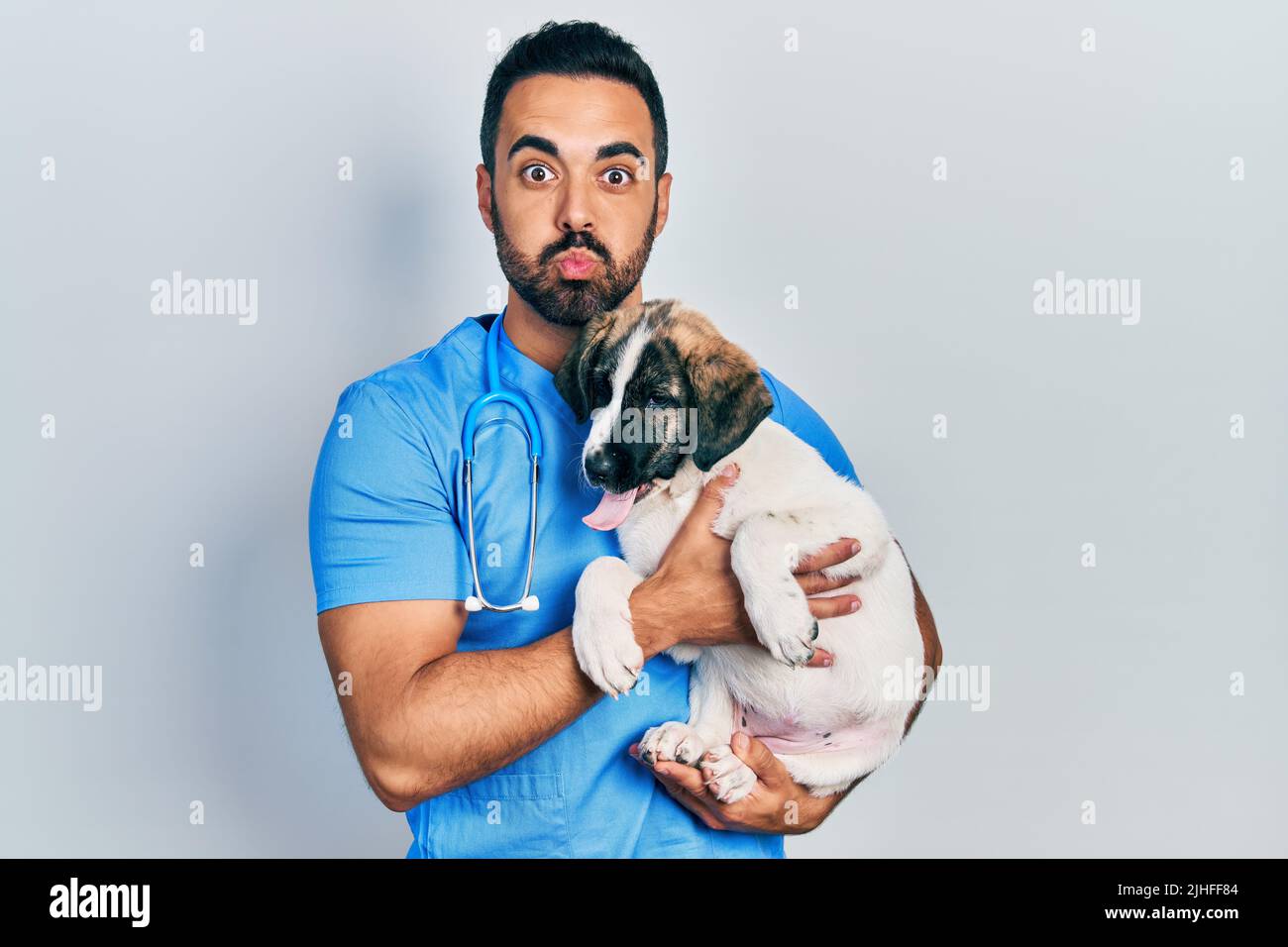 Handsome hispanic veterinary man with beard checking dog health puffing ...