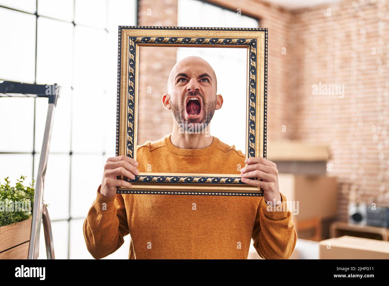 Young bald man with beard moving to a new home putting face inside ...