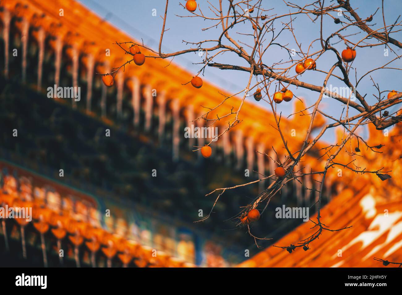 beautiful architecture in the city of china Stock Photo - Alamy