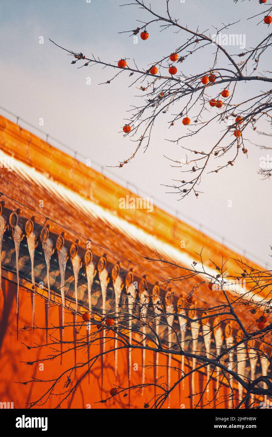beautiful architecture in the city of china Stock Photo - Alamy