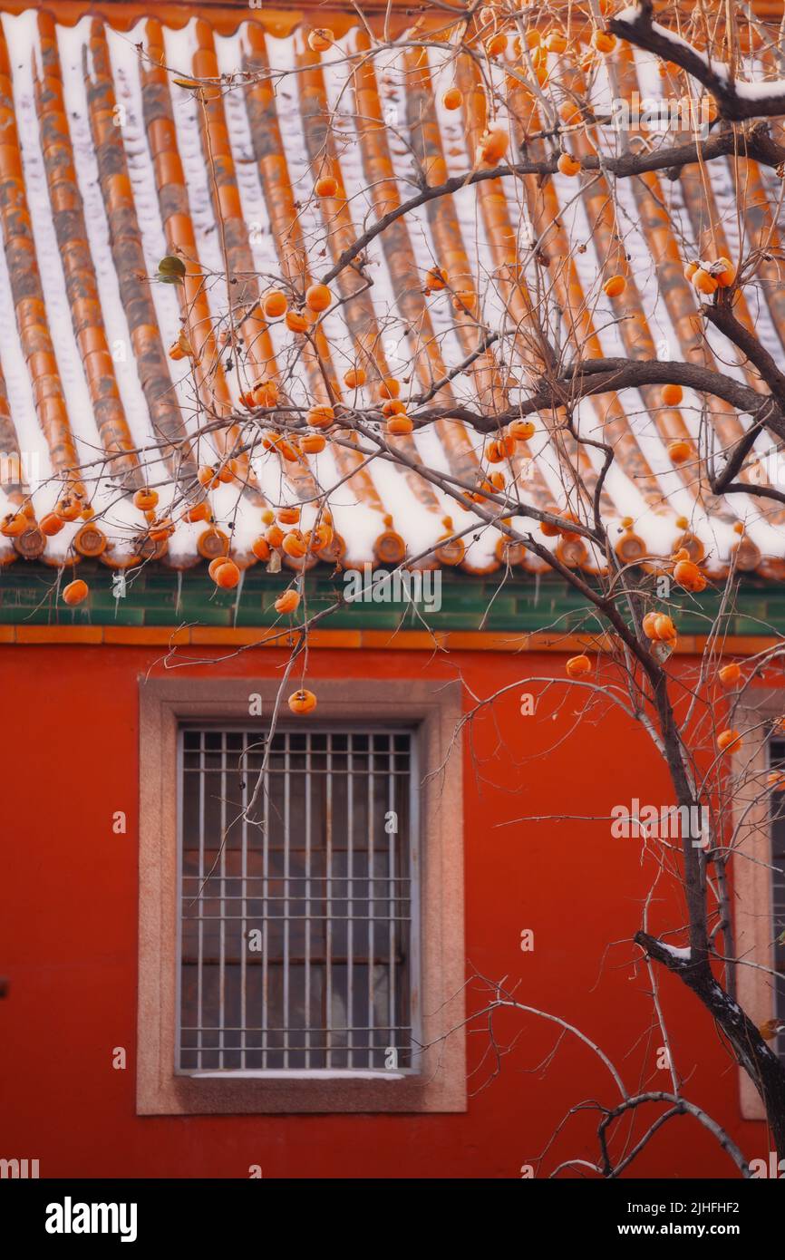beautiful architecture in the city of china Stock Photo - Alamy