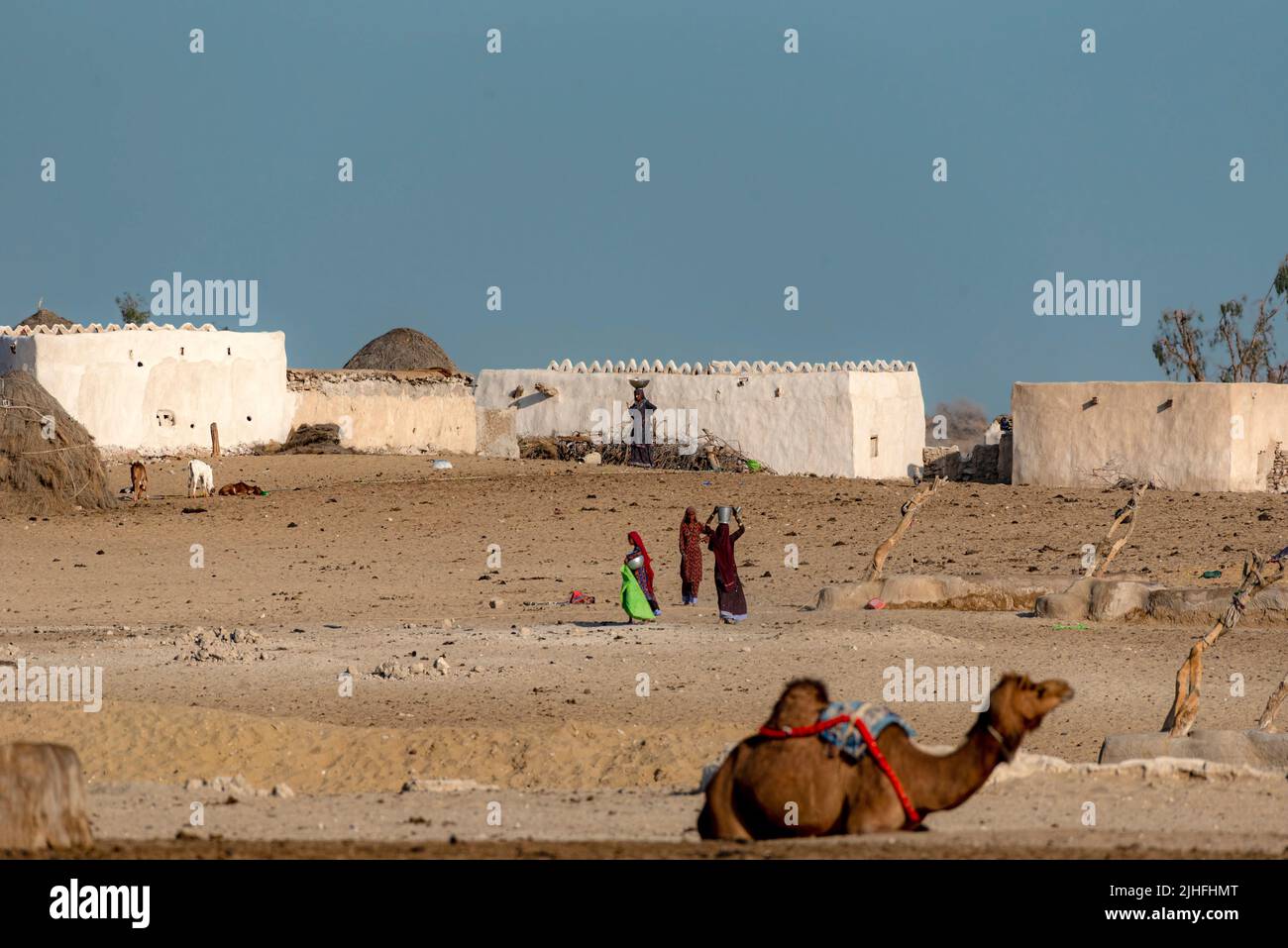 The Cholistan Desert, also locally known as Rohi, is a desert in the ...