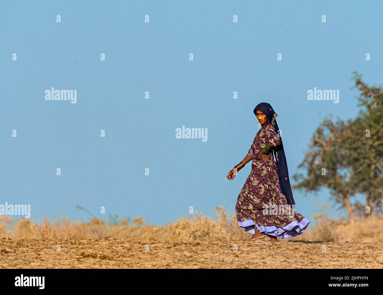 The Cholistan Desert, also locally known as Rohi, is a desert in the ...