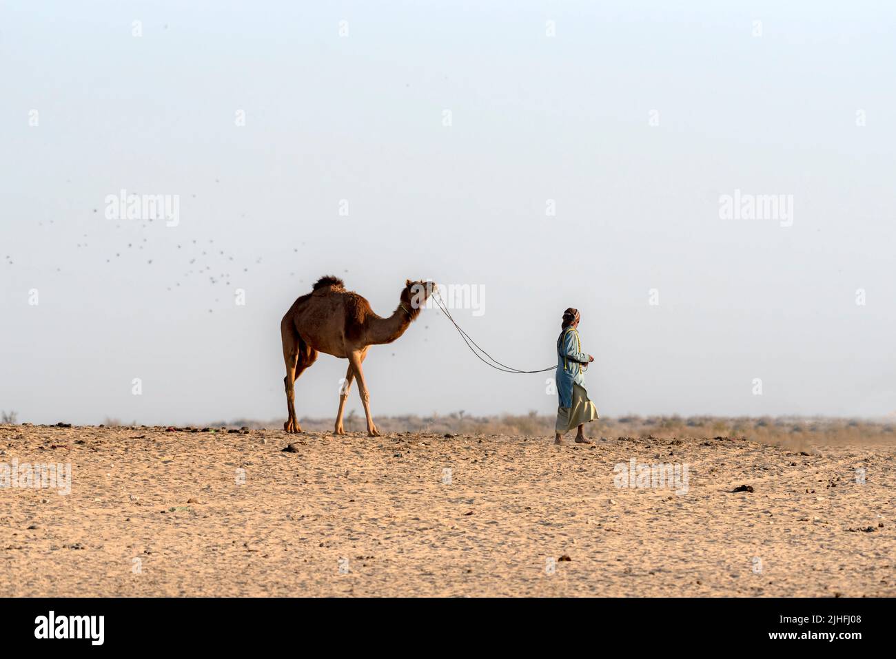 The Cholistan Desert, also locally known as Rohi, is a desert in the ...