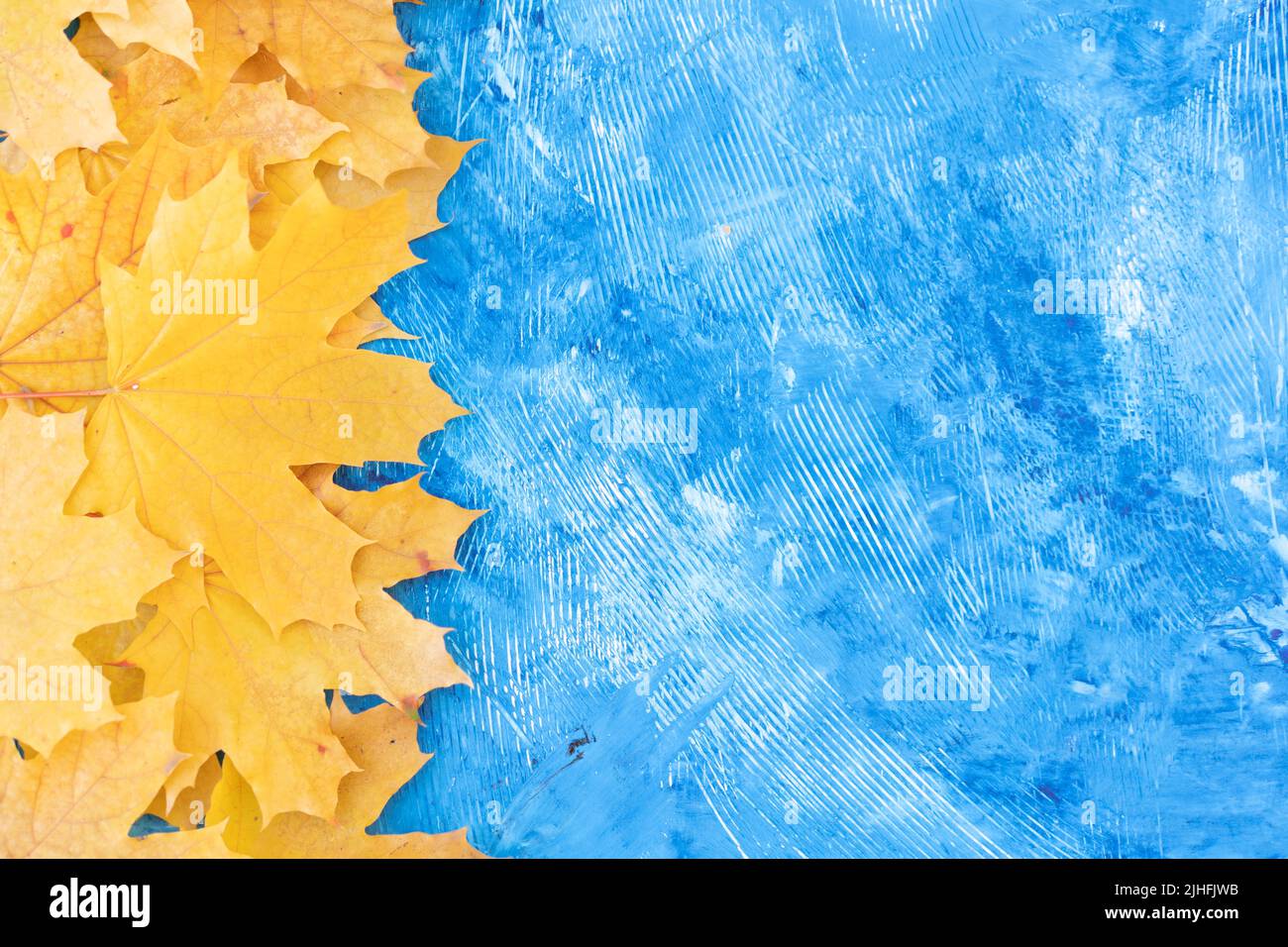 Autumn leaves frame on left side blue structured background top view ...