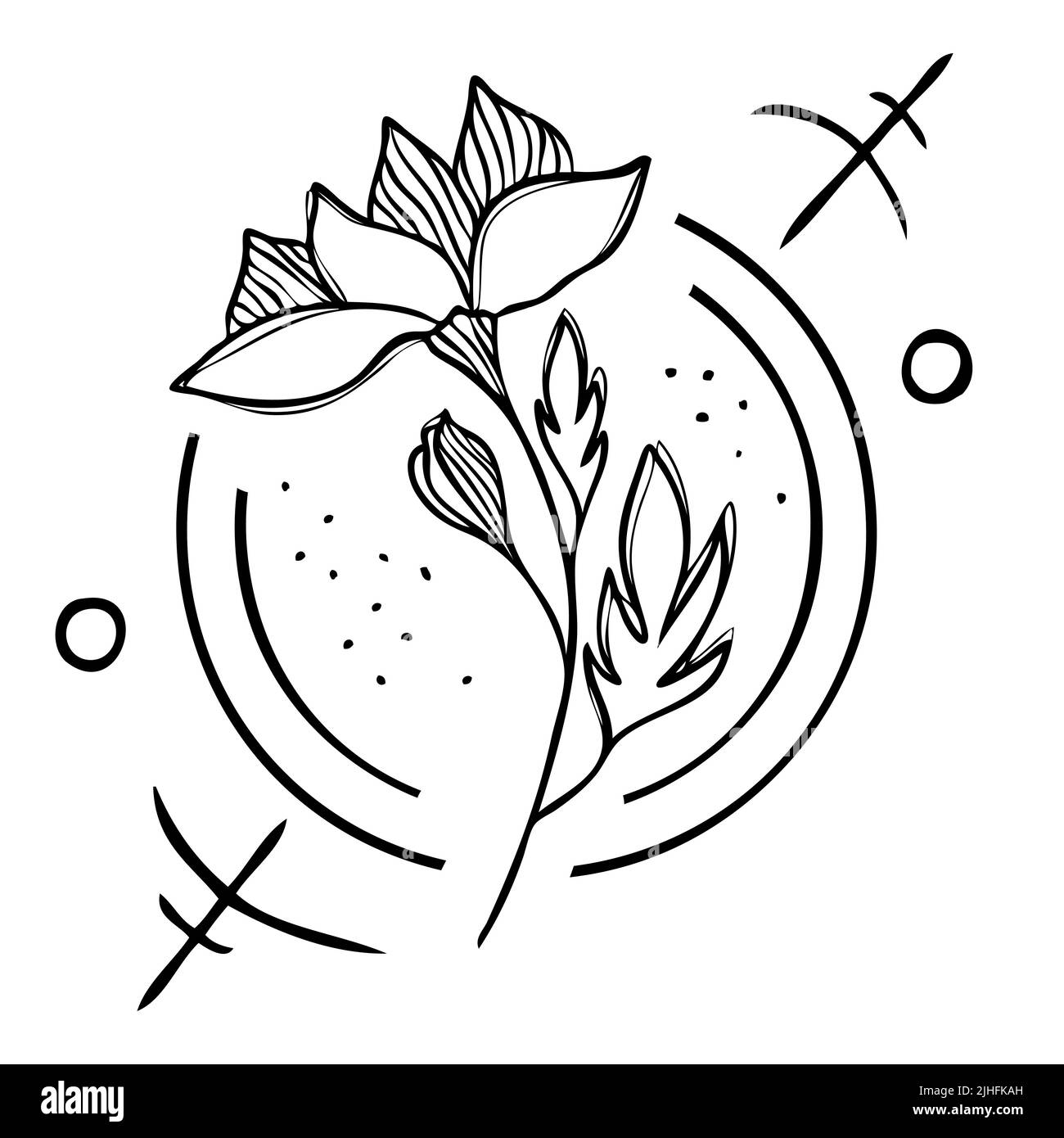 Sacred geometry line vector Black and White Stock Photos & Images - Alamy