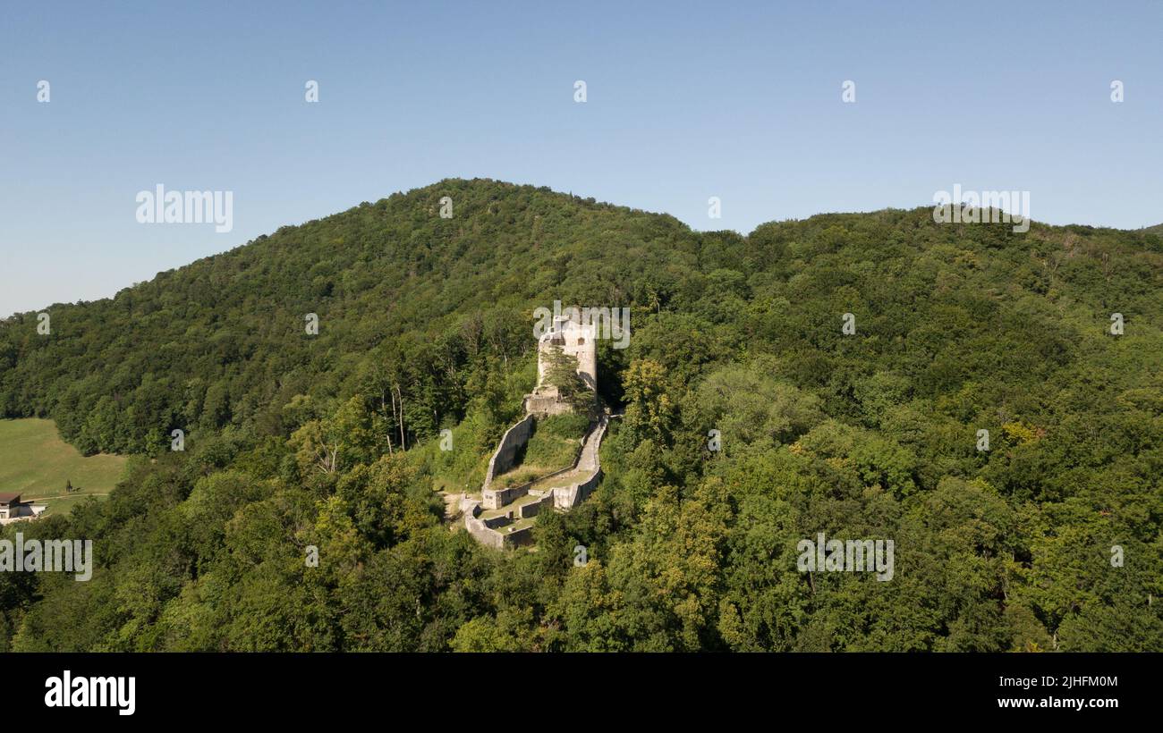 Homburg castle hi-res stock photography and images - Alamy