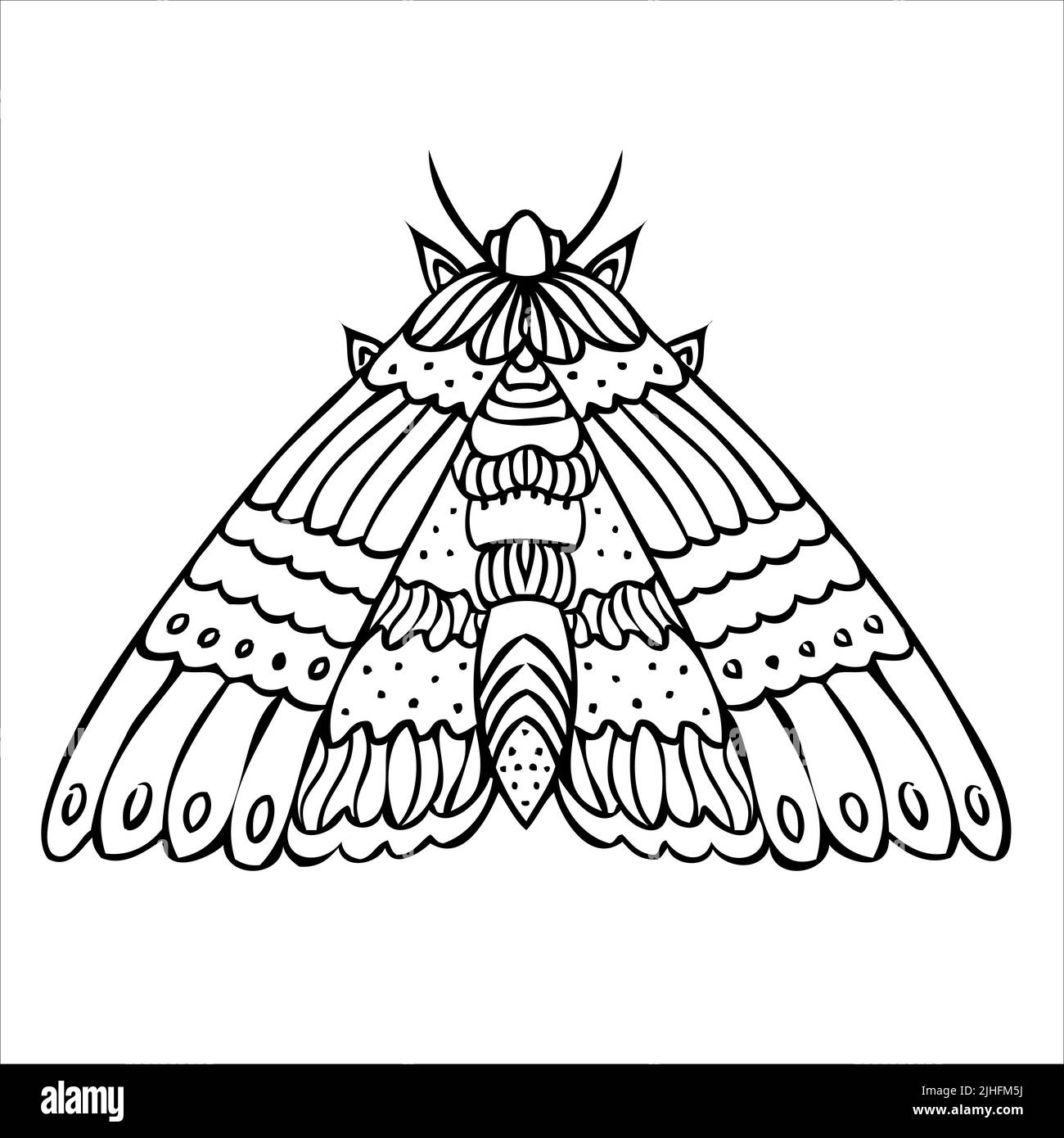 Night butterfly, moth. Hand drawn vector illustration Stock Vector ...