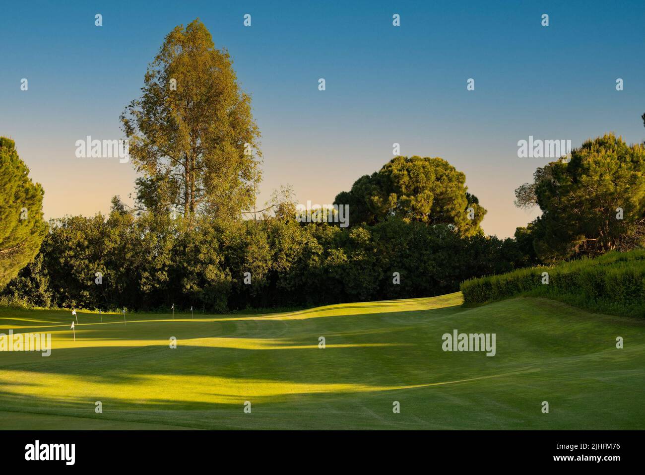 Putting green on golf course to practice the putter golf shot. Training ...