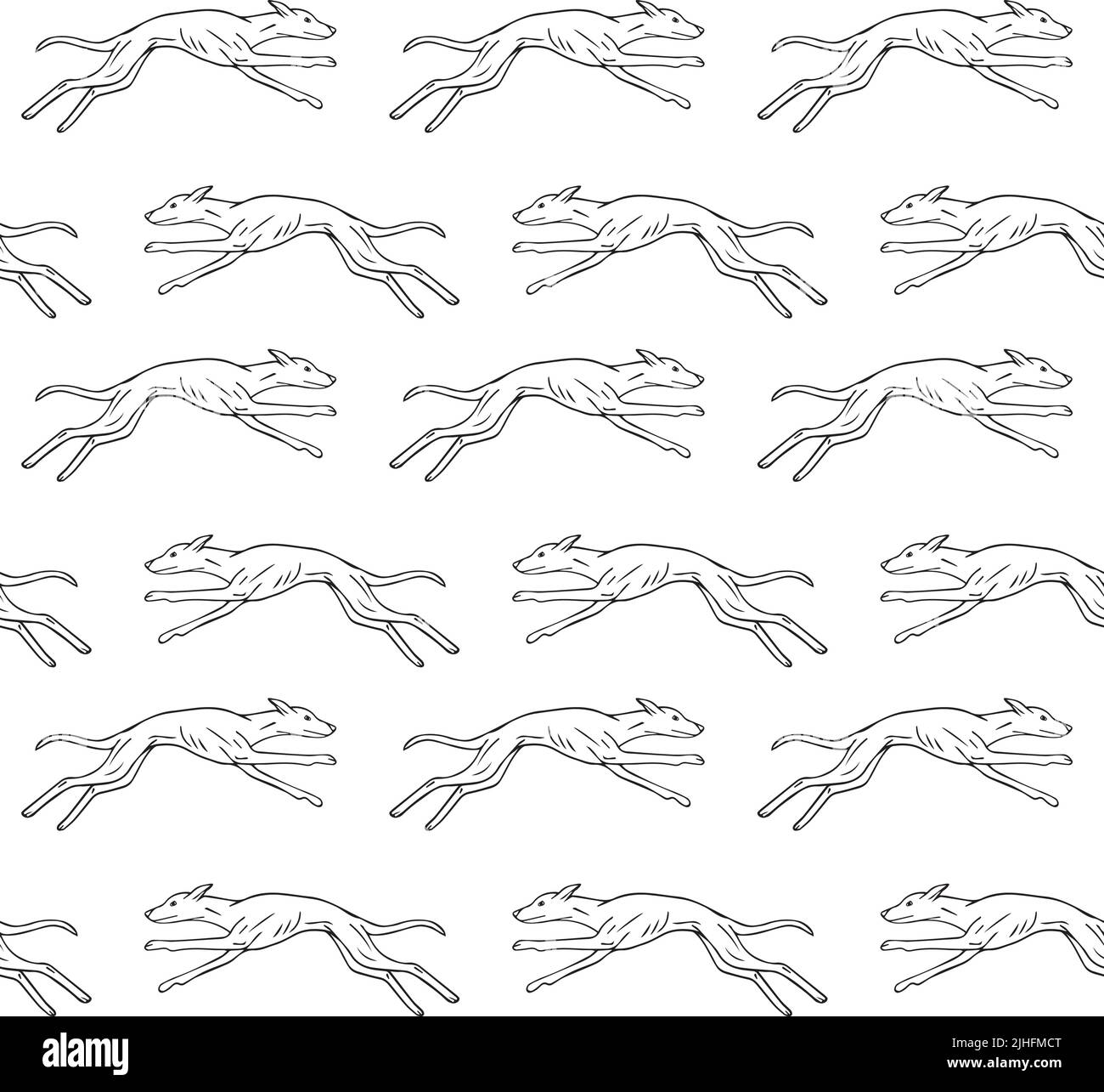 Vector seamless pattern of hand drawn whippet dog Stock Vector Image & Art - Alamy