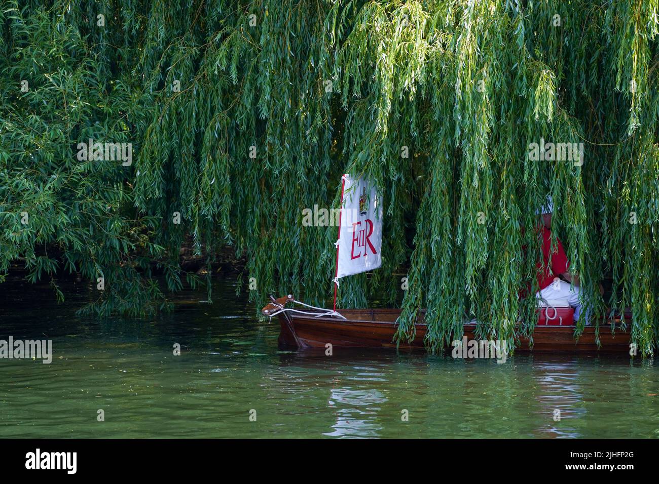Swan Uppers rowing near Chertsey in Surrey, during the ancient ...