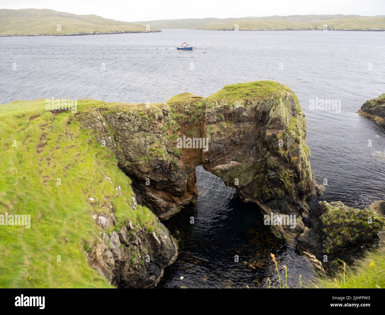 A Mussel farm in Ura Firth off Hillswick, Mainland Shetland, Scotland ...