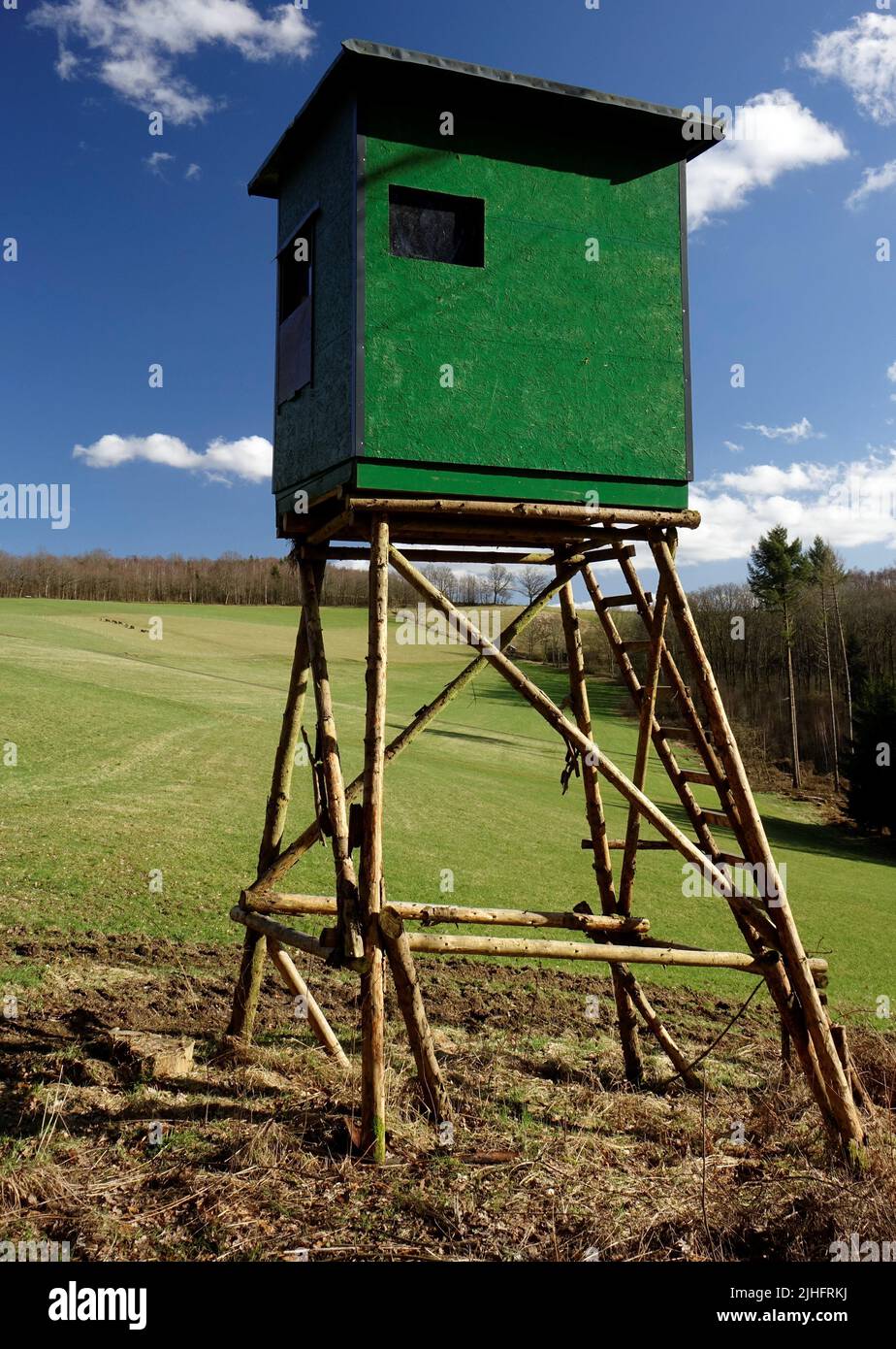 The vertical view of a green watchtower in the green field by the woods ...