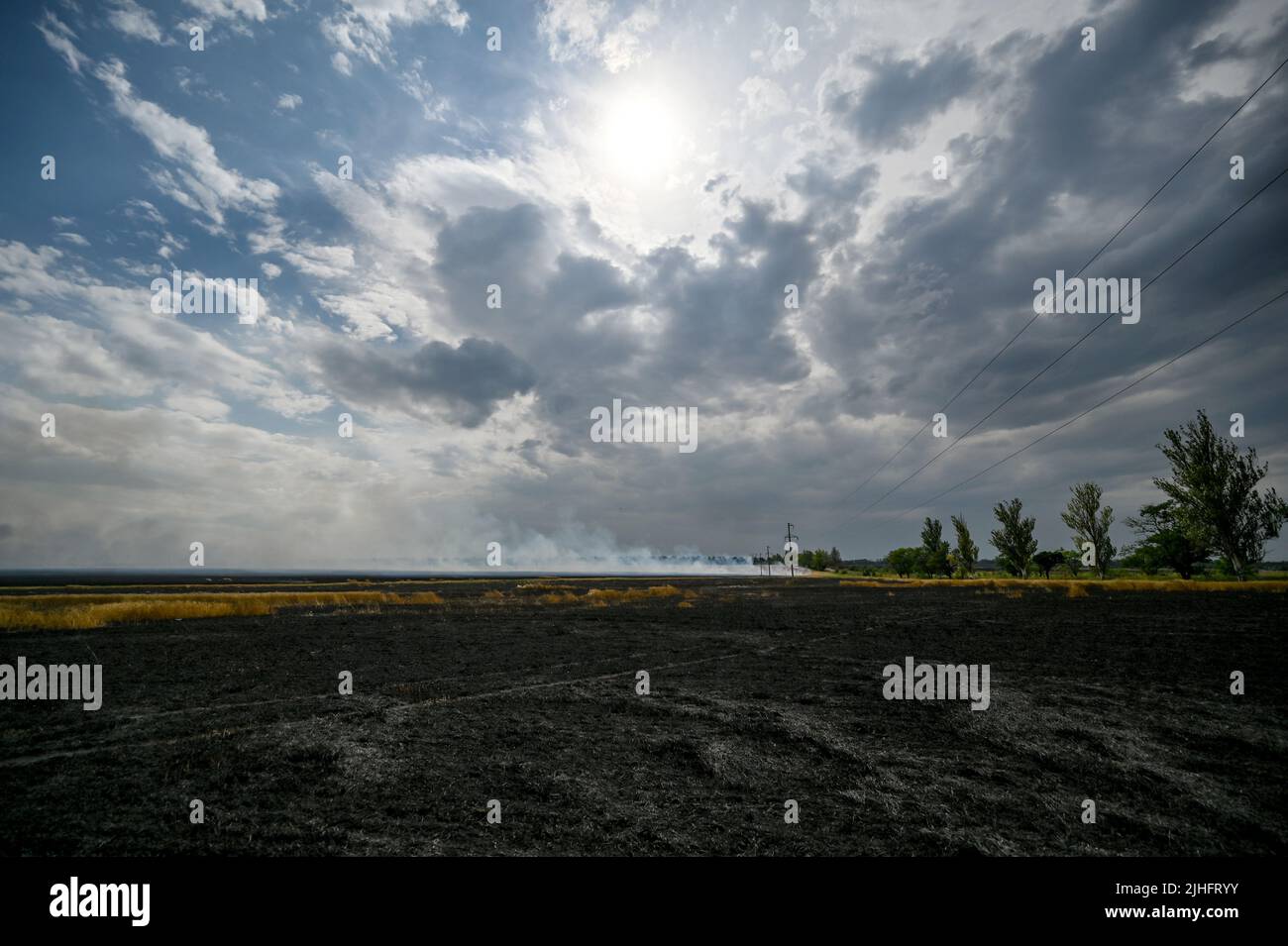 ZAPORIZHZHIA REGION, UKRAINE - JULY 17, 2022 - A burnt-out wheat field ...