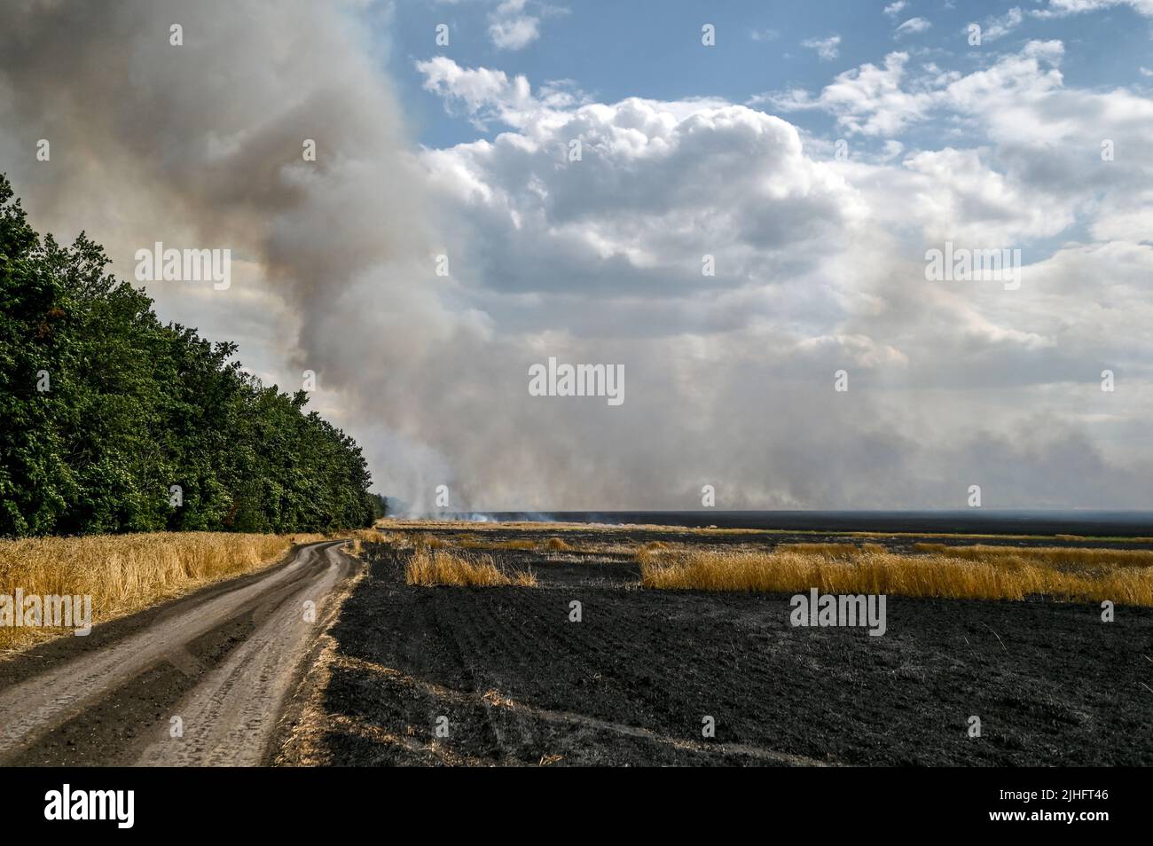 ZAPORIZHZHIA REGION, UKRAINE - JULY 17, 2022 - A burnt-out wheat field ...