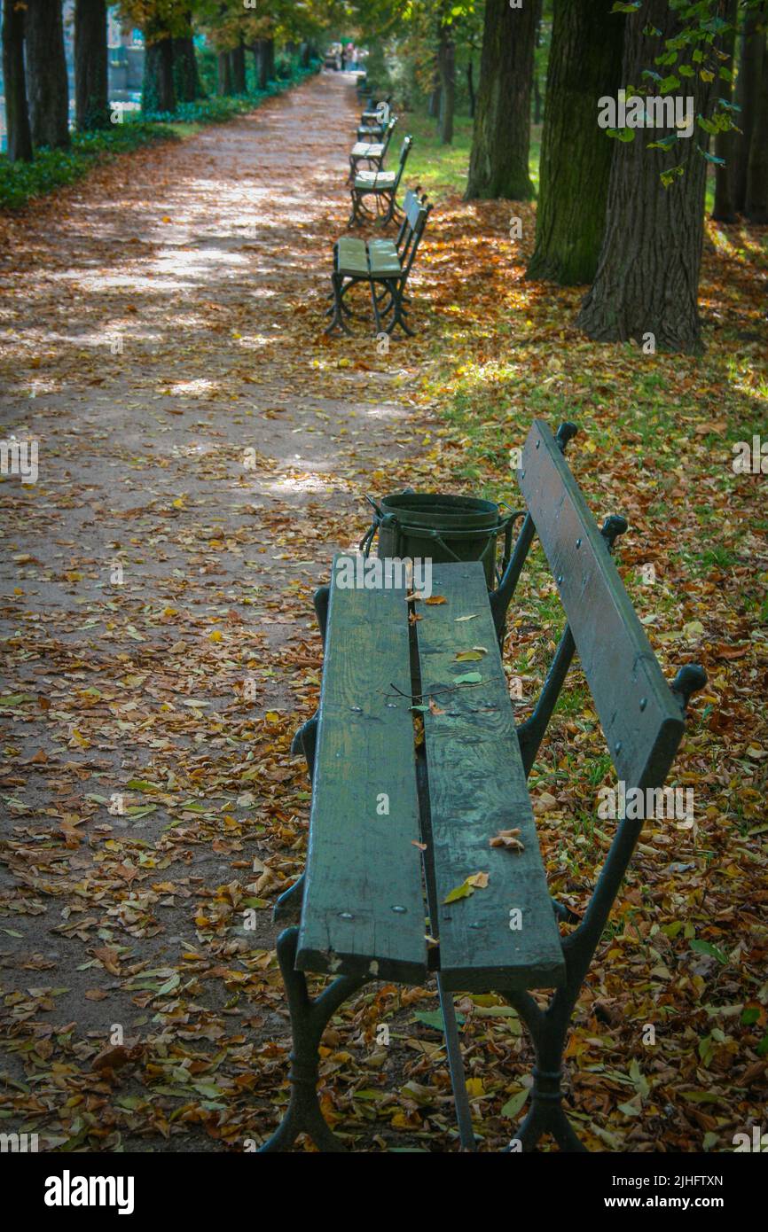 Row of empty benches along alley in public park in autumn Stock Photo ...