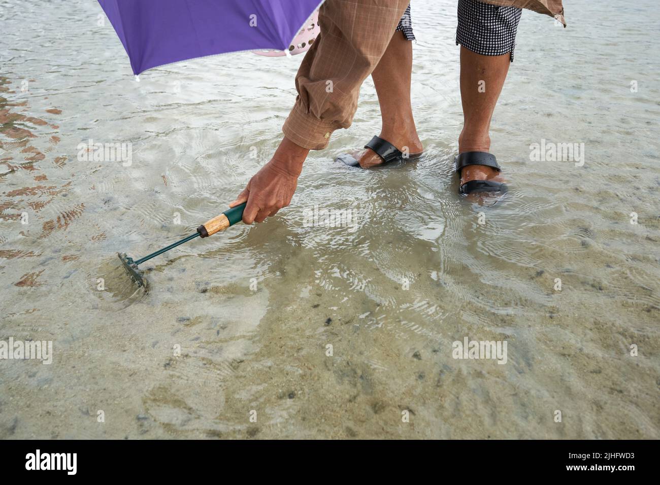 Clam rake hi-res stock photography and images - Alamy