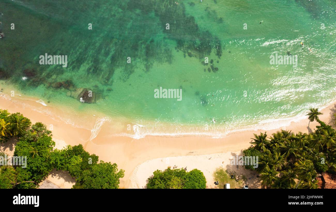 A bay with a Hiriketiya beach among palm trees. Surf spot in Sri Lanka ...