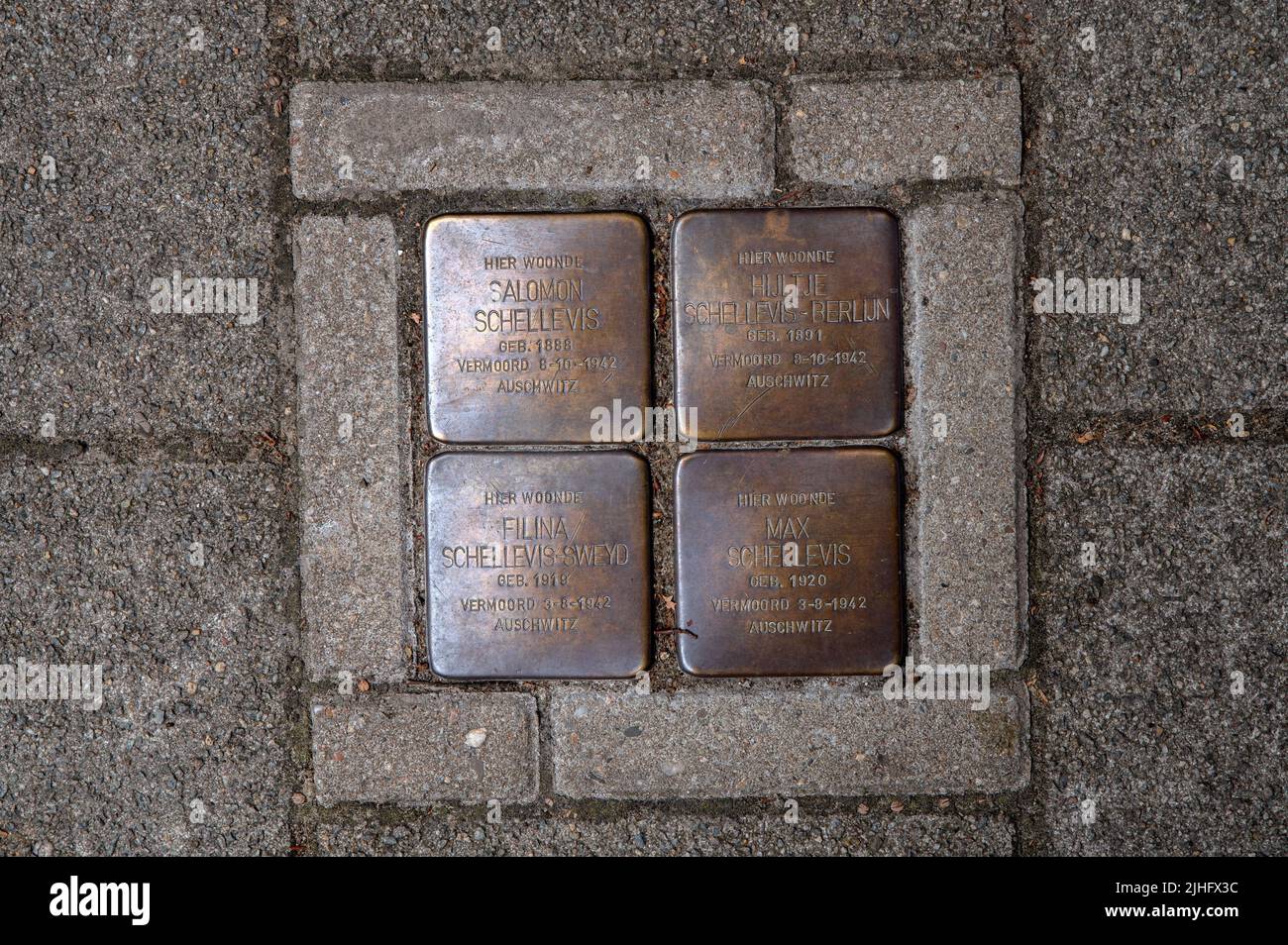 Stolperstein Memorial Stone From The Family Schellevis At Amsterdam The ...