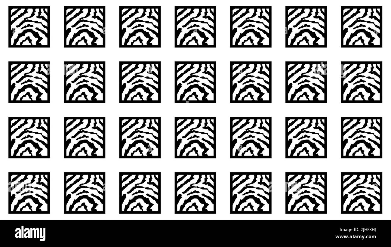 A set of square zebra patterns on white background Stock Photo - Alamy