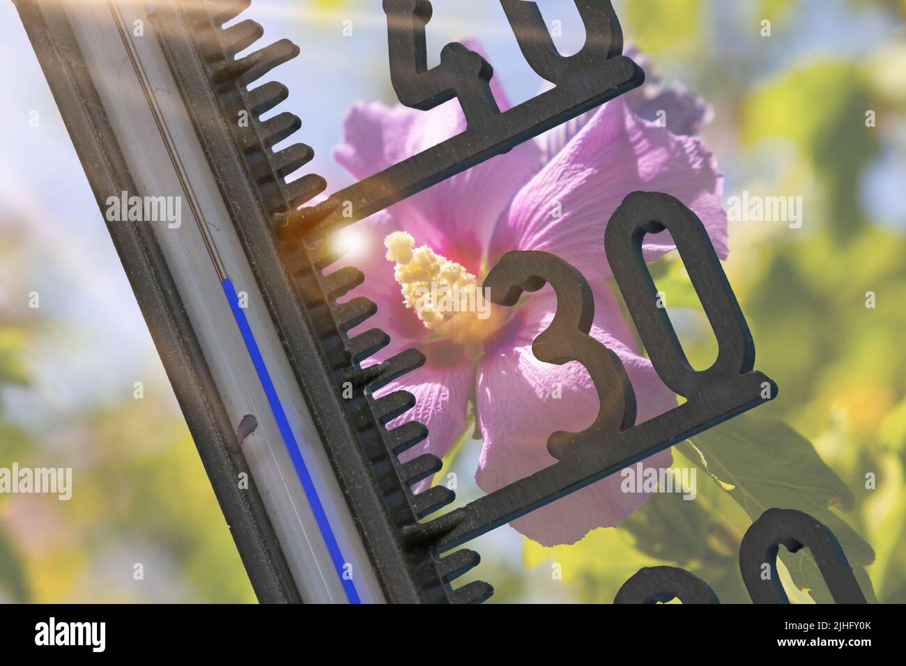 Symbol image heat wave: thermometer shows temperatures close to forty ...