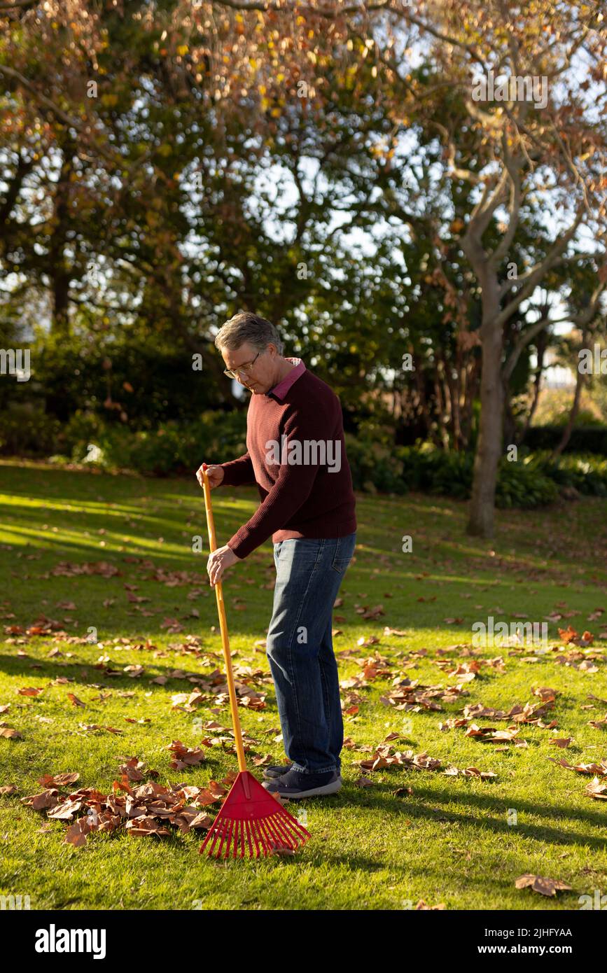 Vertical image of caucasian man swiping leaves in garden Stock Photo ...