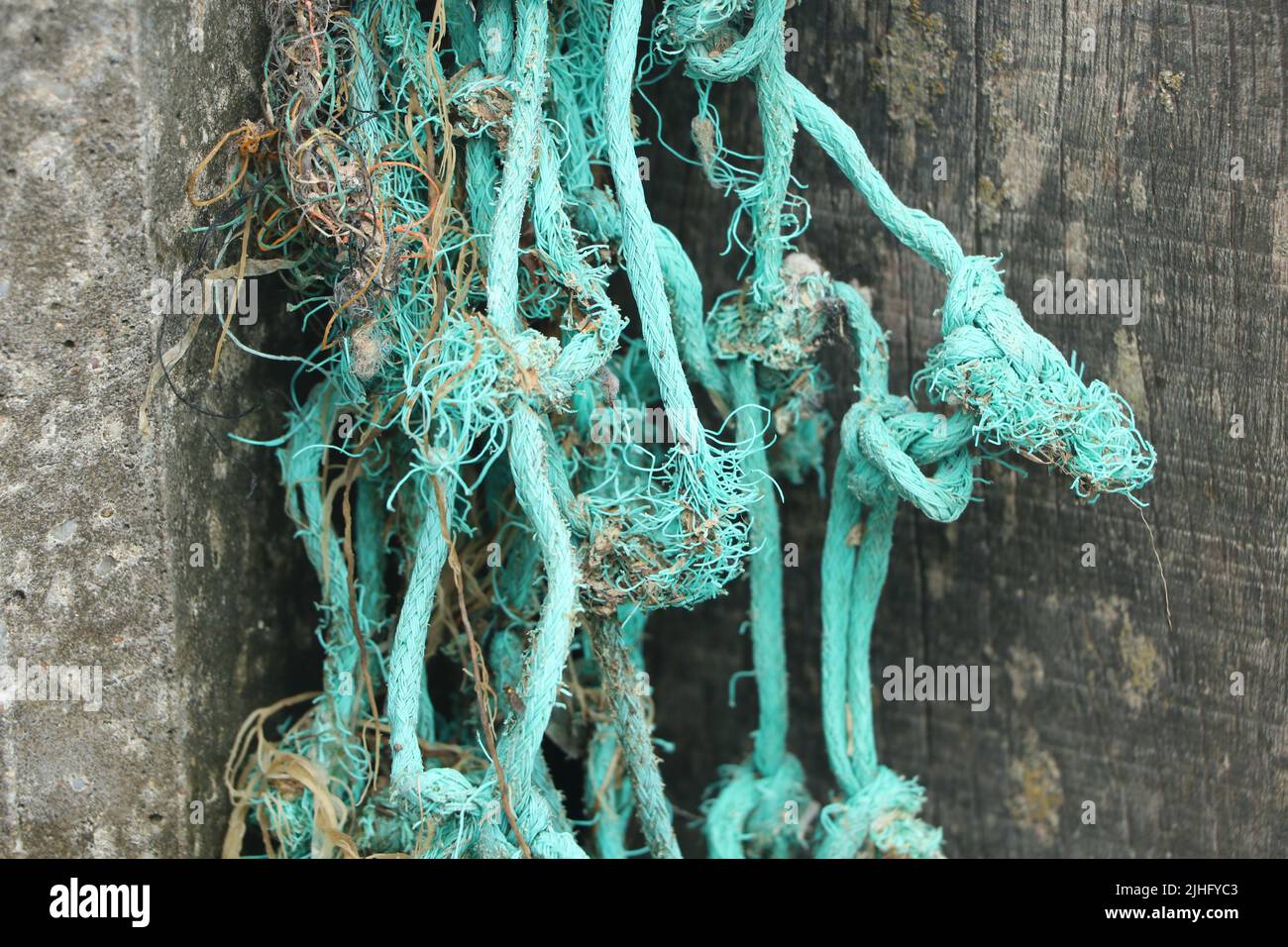 Old frayed tangled turquoise colored nylon fishing rope close-up Stock ...