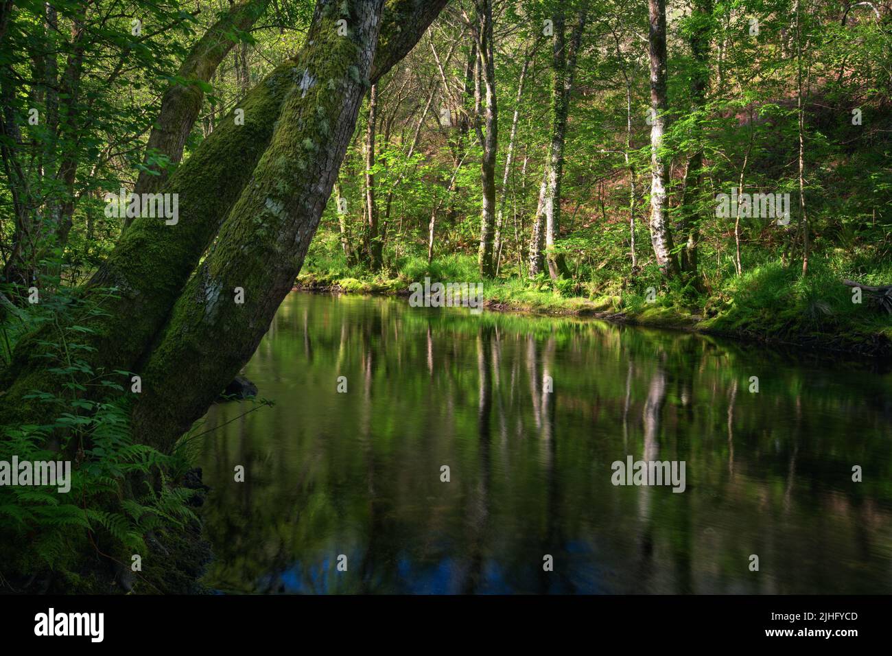 Relaxing atmosphere with the soft light of morning on a river ...