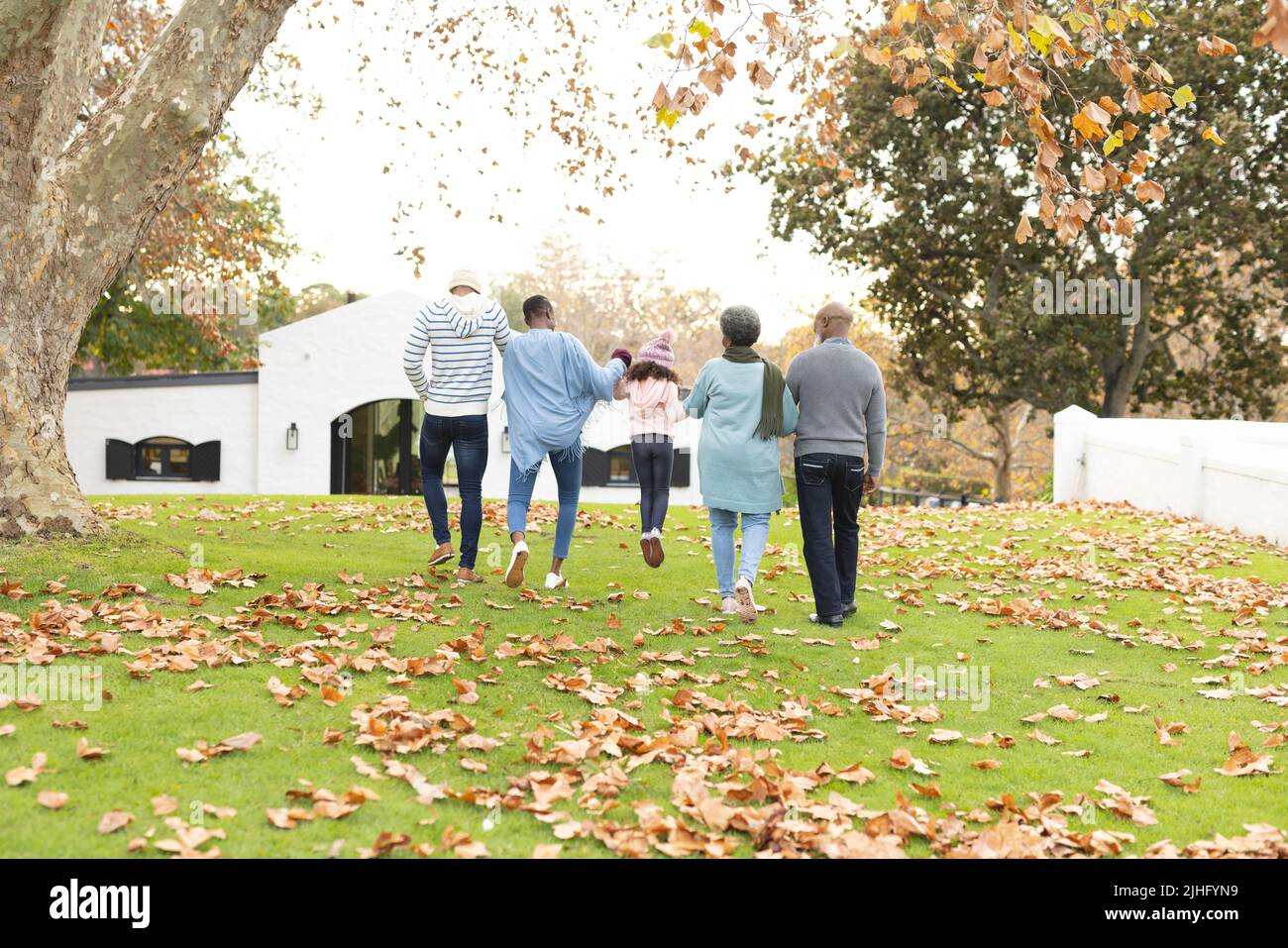 Image of back view of multi generation african american family having ...