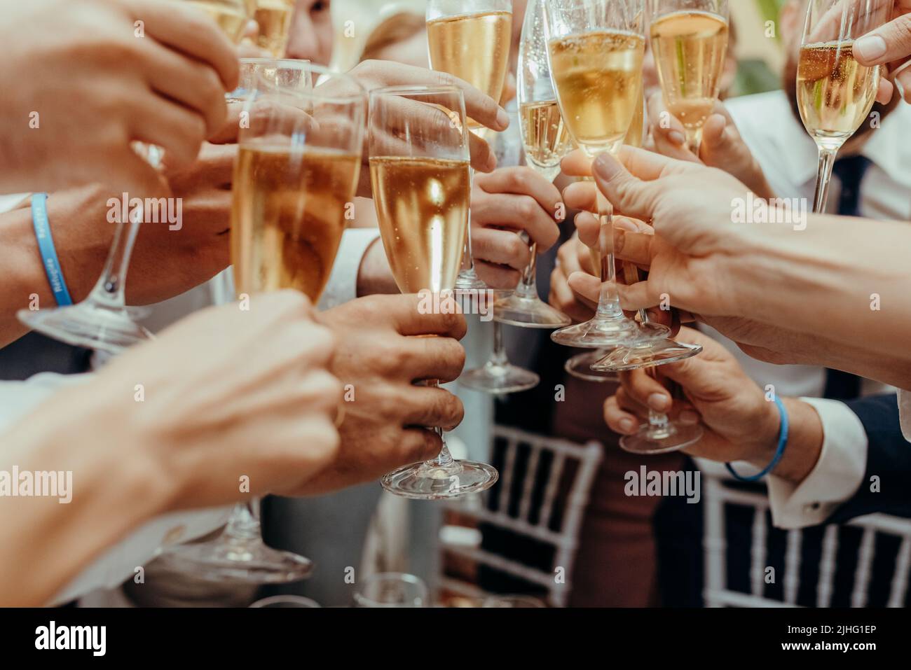 Group of friends celebrate by raising their glass in a toast Stock ...