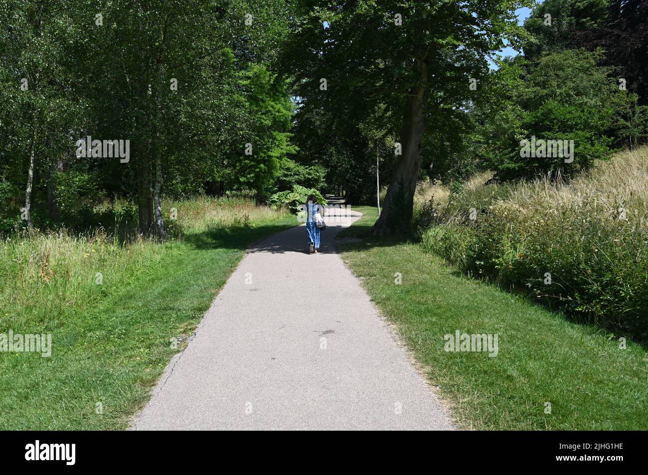 A Lady walking in the English countryside on a hot July day Stock Photo ...