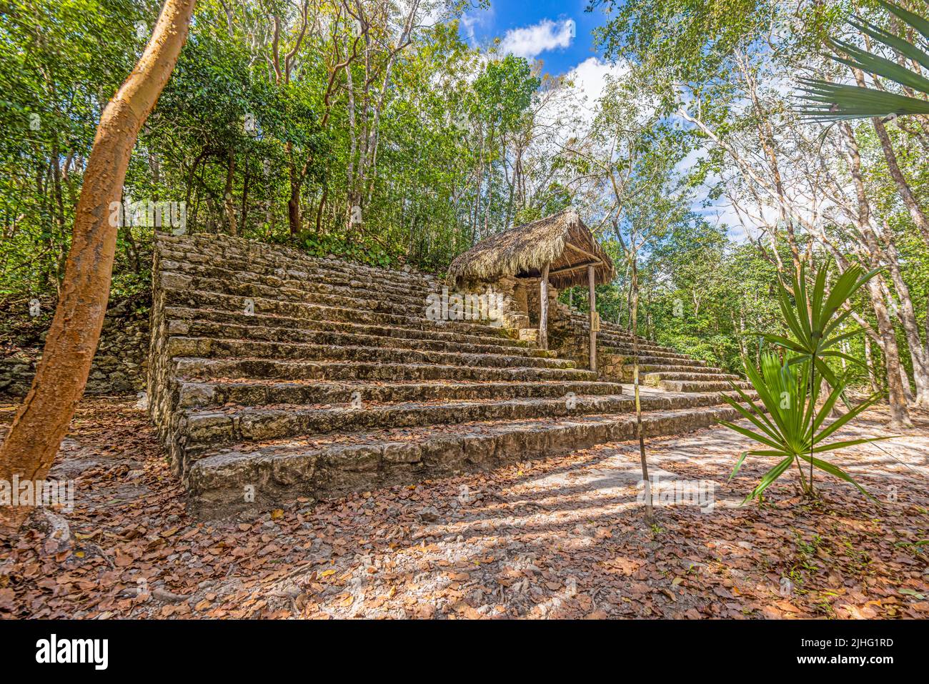 Picture of a historic pyramid in the Mexican Inca city of Coba Stock ...