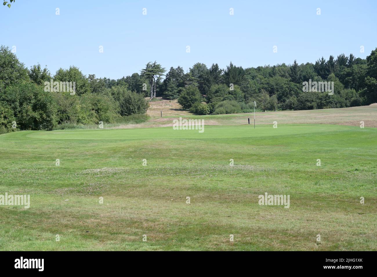 A putting green on an English gold course Stock Photo - Alamy