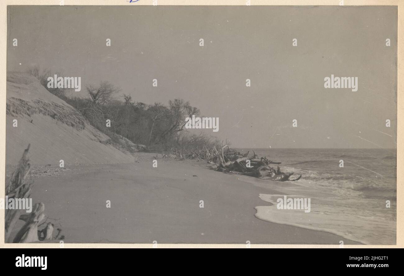 North Carolina - Cape Fear. Beach at Cape Fear Light Station, North ...