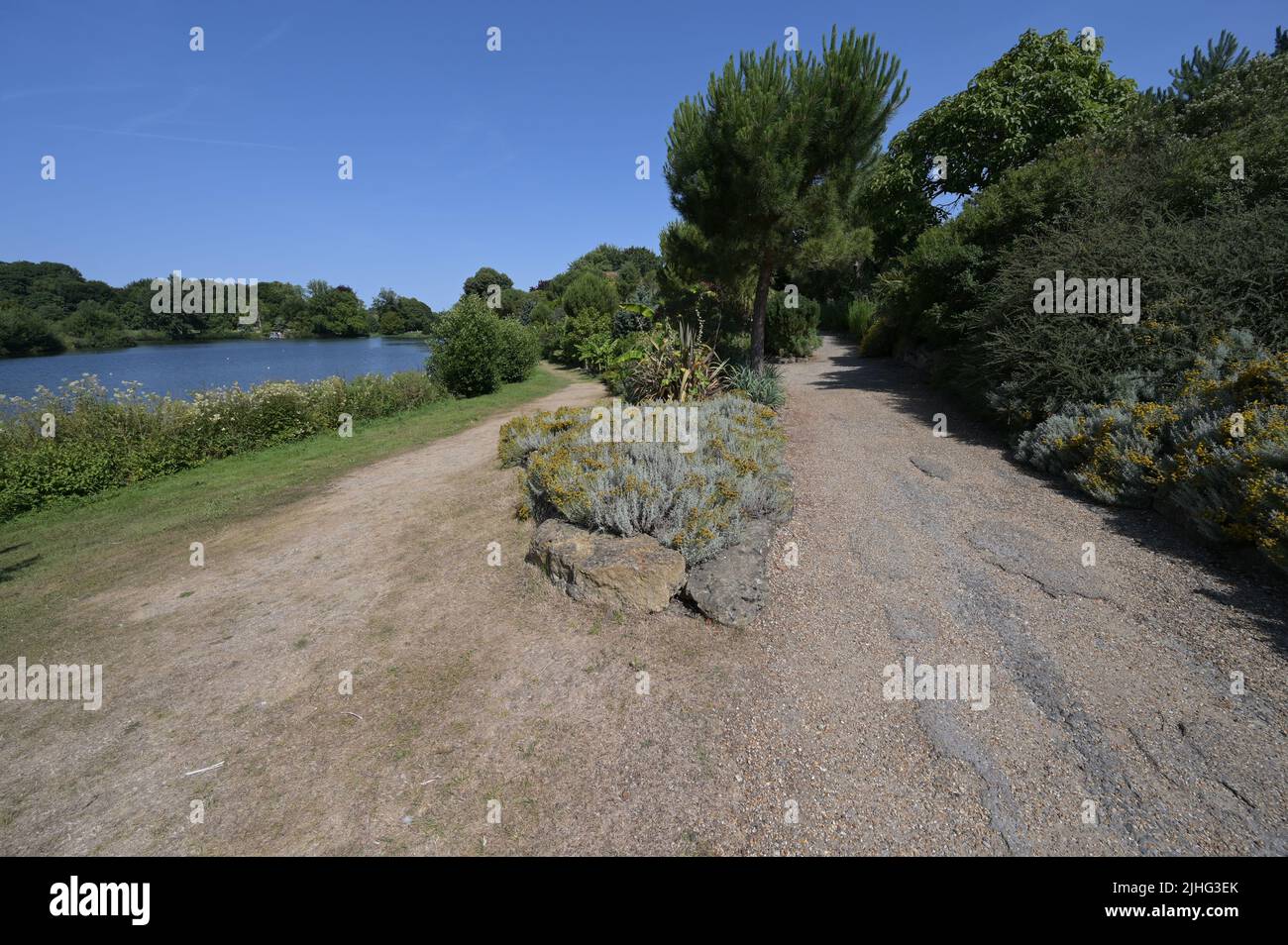 A country path by a lake in an English country garden in summertime ...
