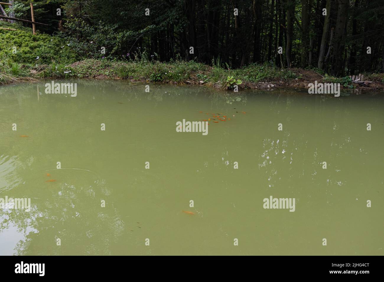 Opposites people hi-res stock photography and images - Alamy