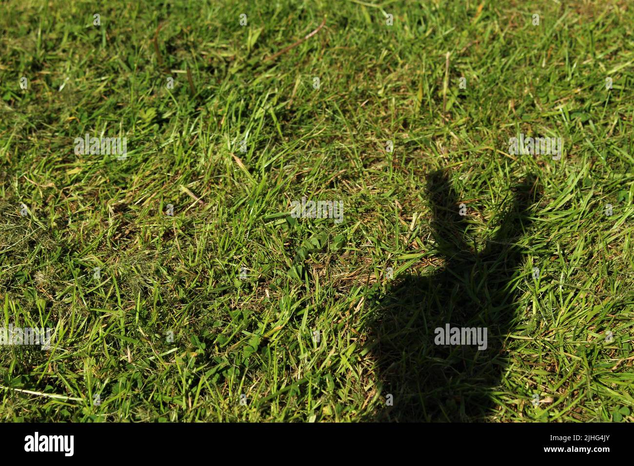 Silhouette of a peace sign against green grass with copy space. Concept ...