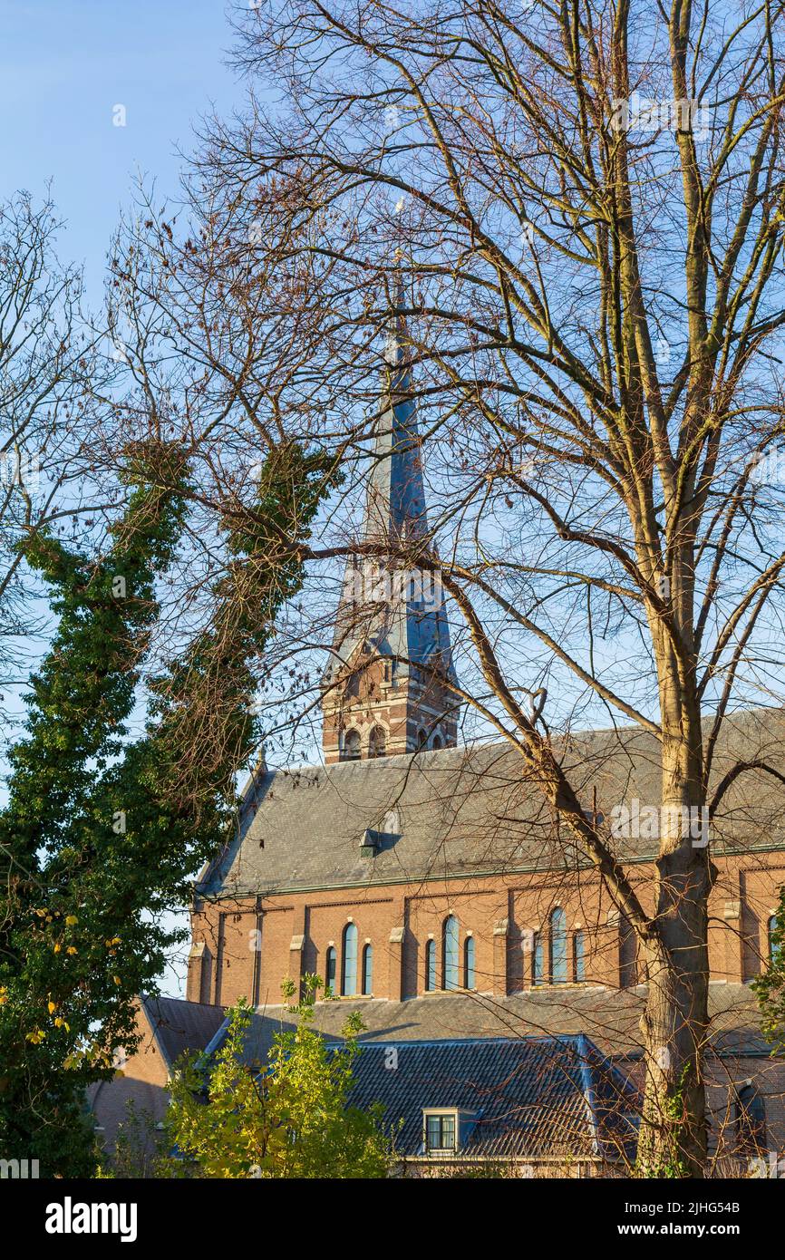 Culemborg netherlands market hi-res stock photography and images - Alamy