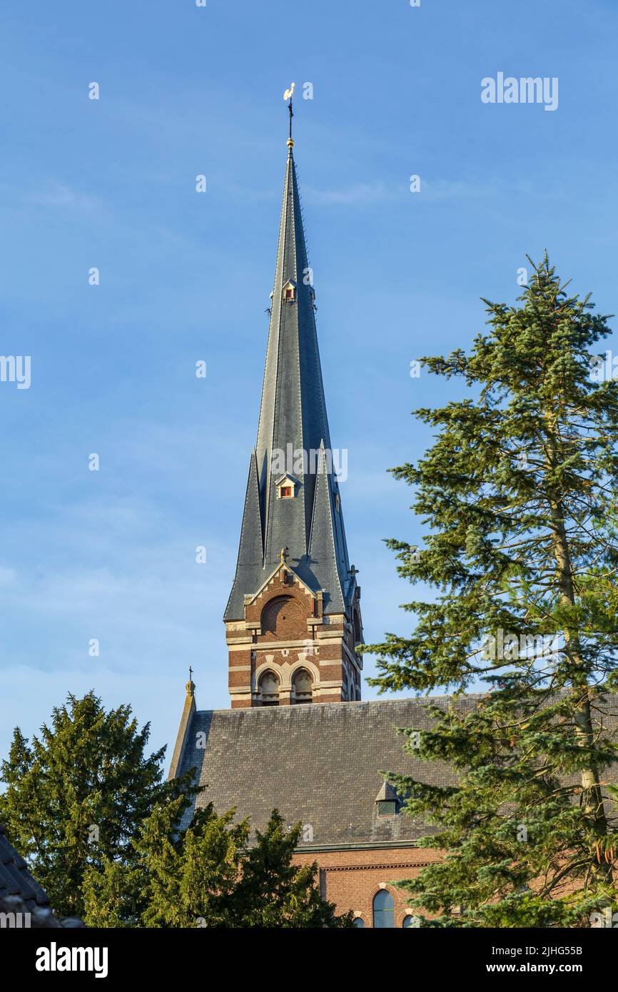 Saint Barbara church in the centre of Culemborg, municipality in ...