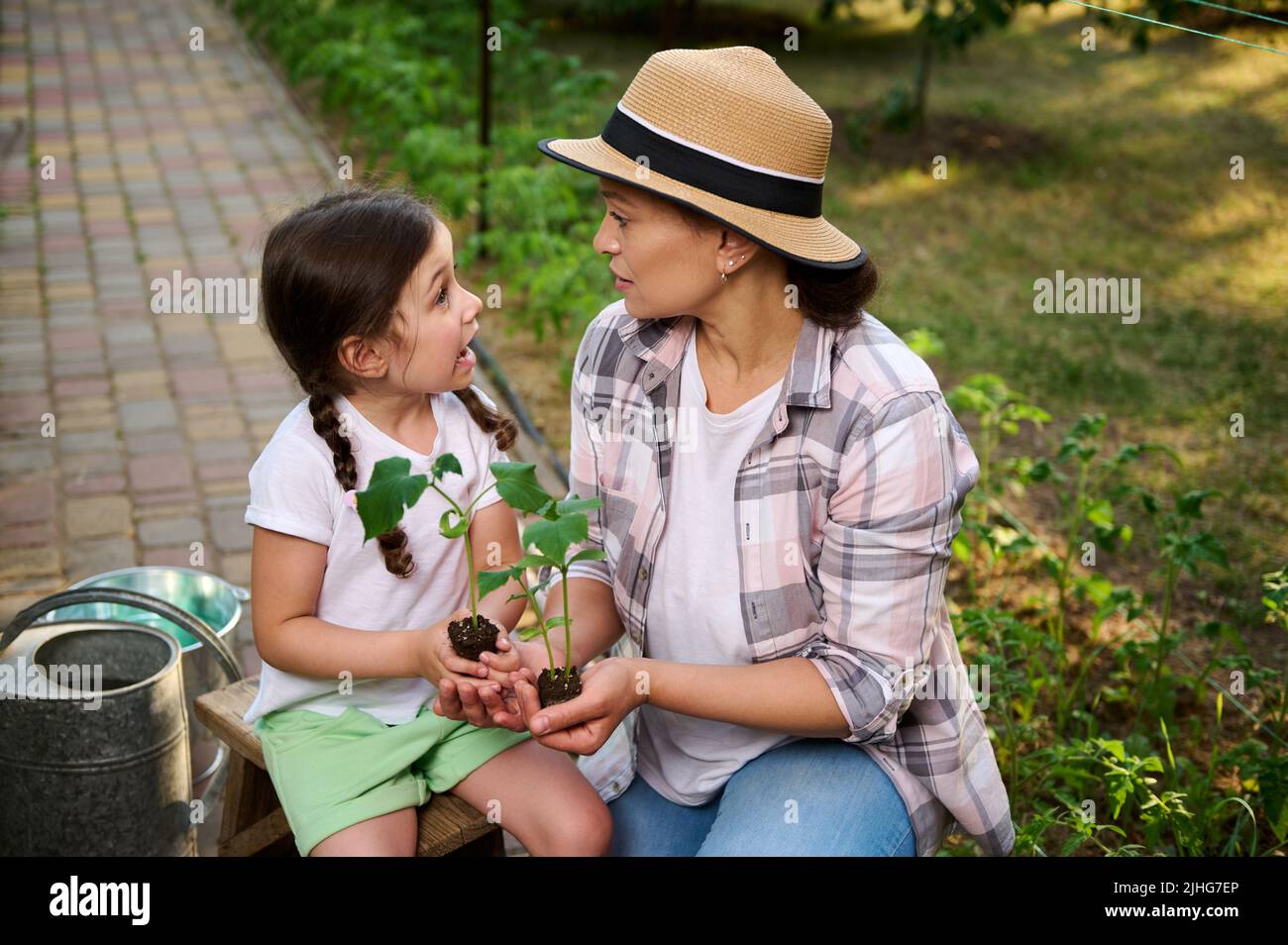 Charming woman and her lovely daughter, holding sprouted seedlings in ...