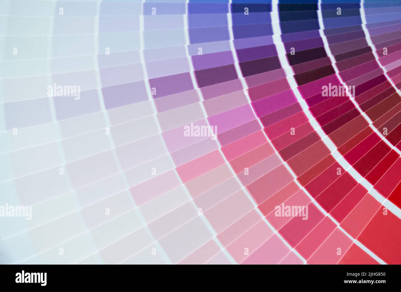 Shades Of Pink Color Wheel