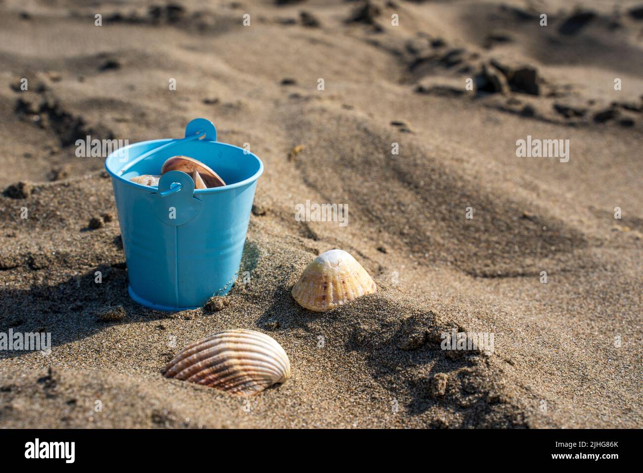 Plastic and sea shells hi-res stock photography and images - Alamy