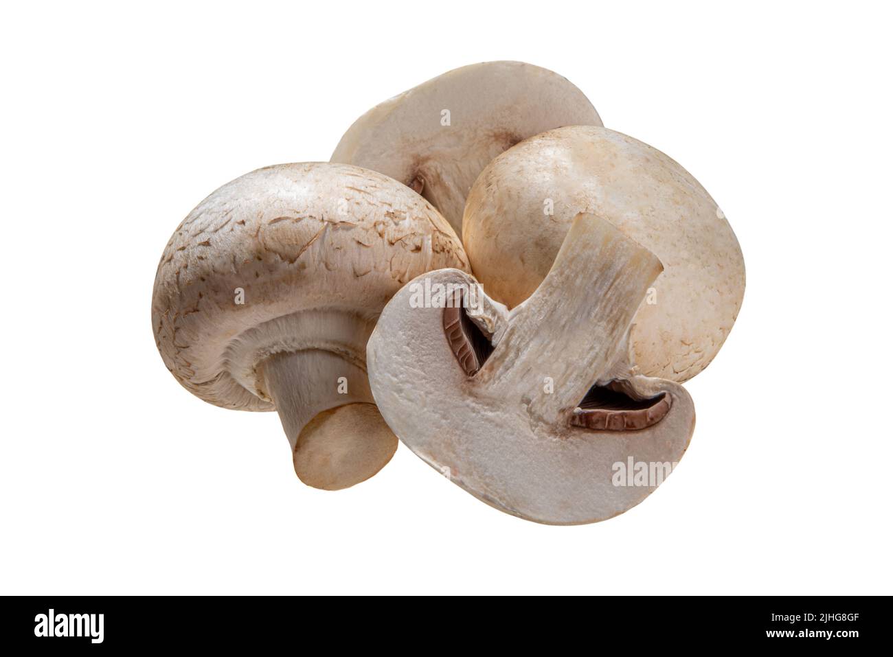 Fresh champignon mushrooms isolated on white background Stock Photo - Alamy